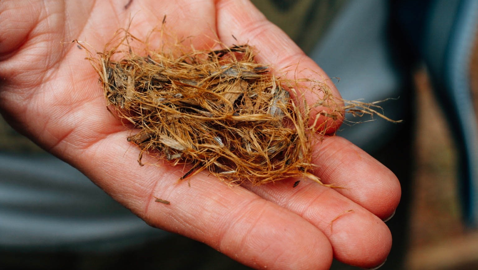 Fundraiser by Kelly Moody : 2025 birthday fundraiser for the Ground ...