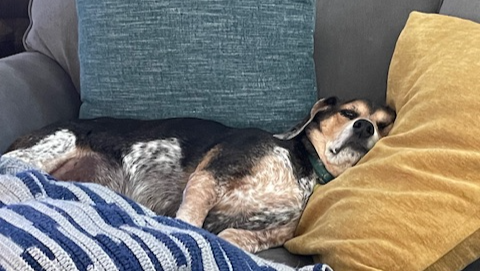 Fundraiser by Jason Podzemny : Rally for Ralphie's Health