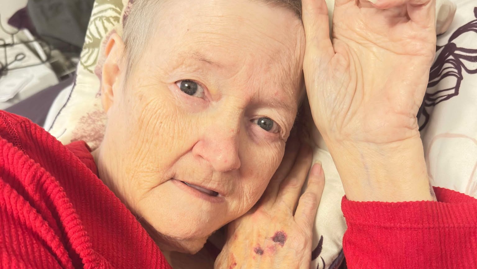 Fundraiser by Jessica Ware : Bring Diane Home to Lincoln