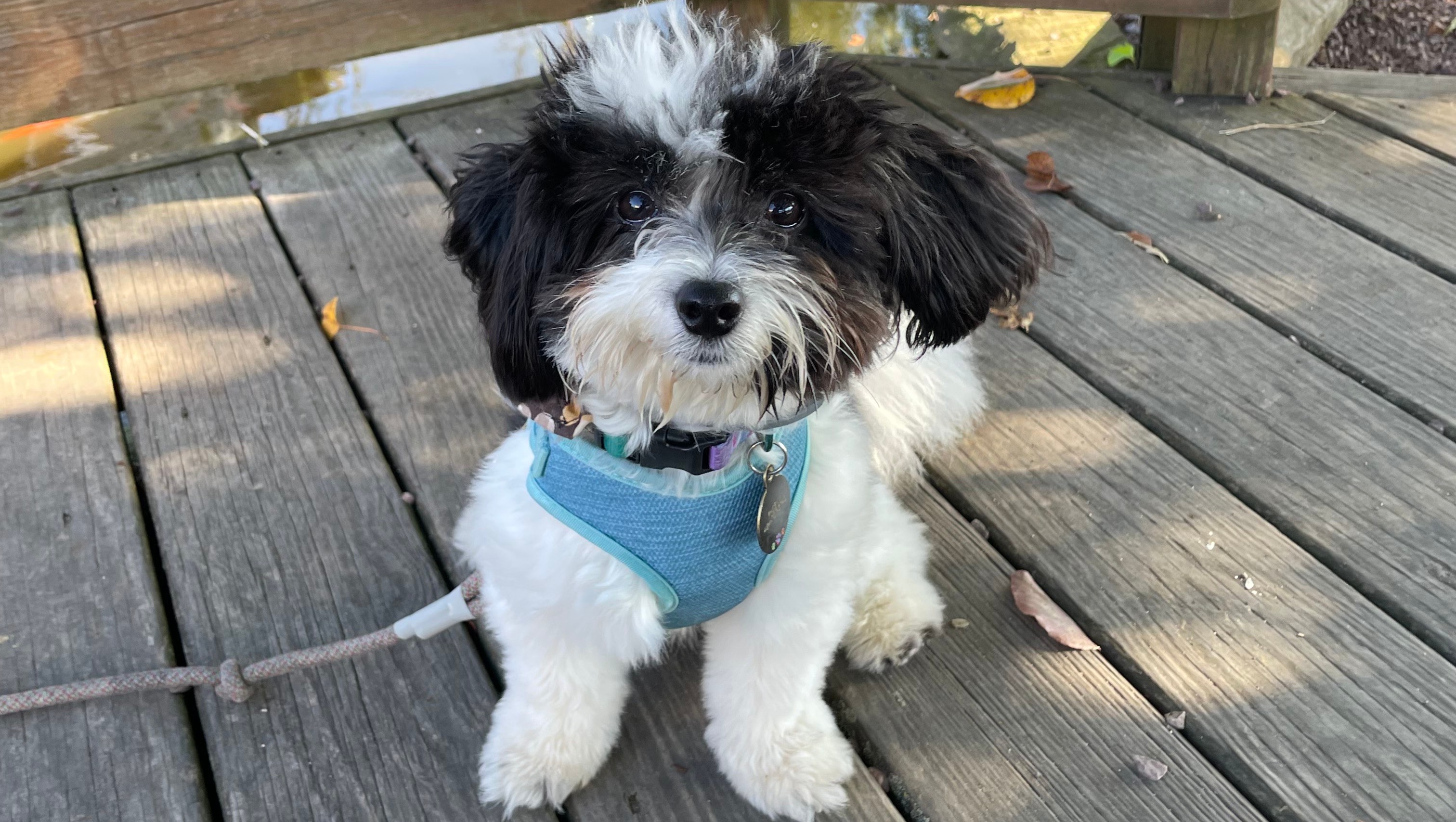 Fundraiser for Christie Kragness by Robert Fella : Support for Phoenix ...