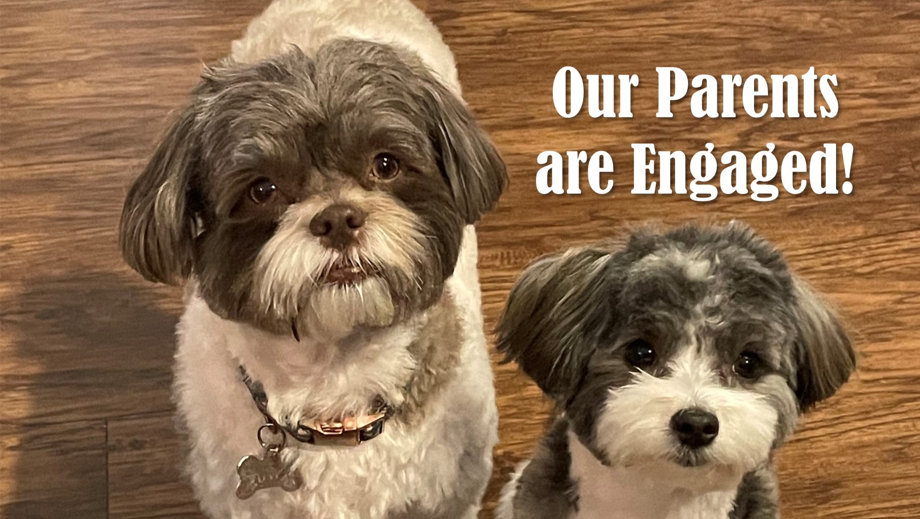 Fundraiser for Emily Jacobs by Y-Nhi Dang : Tristan & Emily's New Adventure