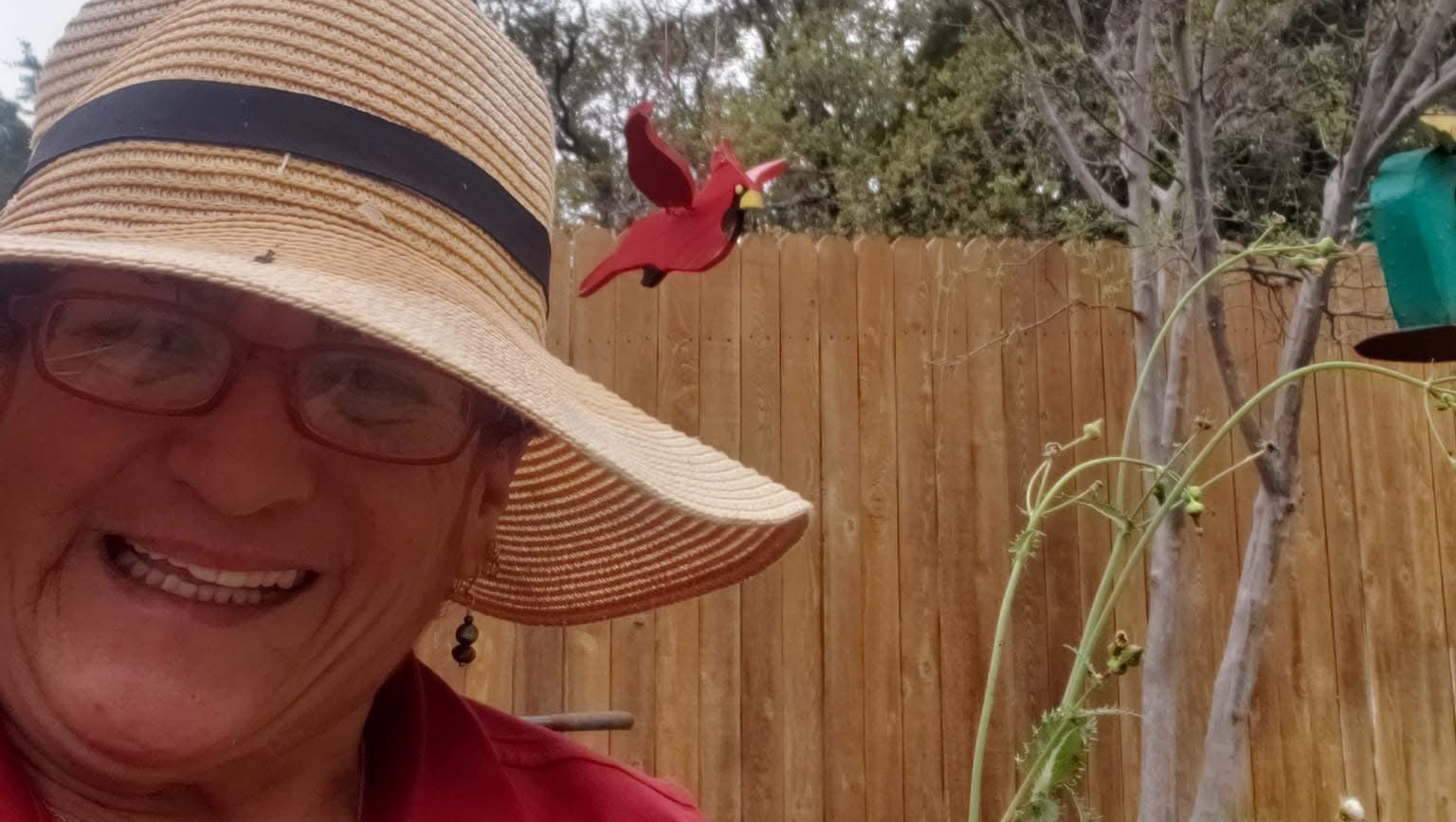 Fundraiser by David Craine : Support for Thelma's Final Journey