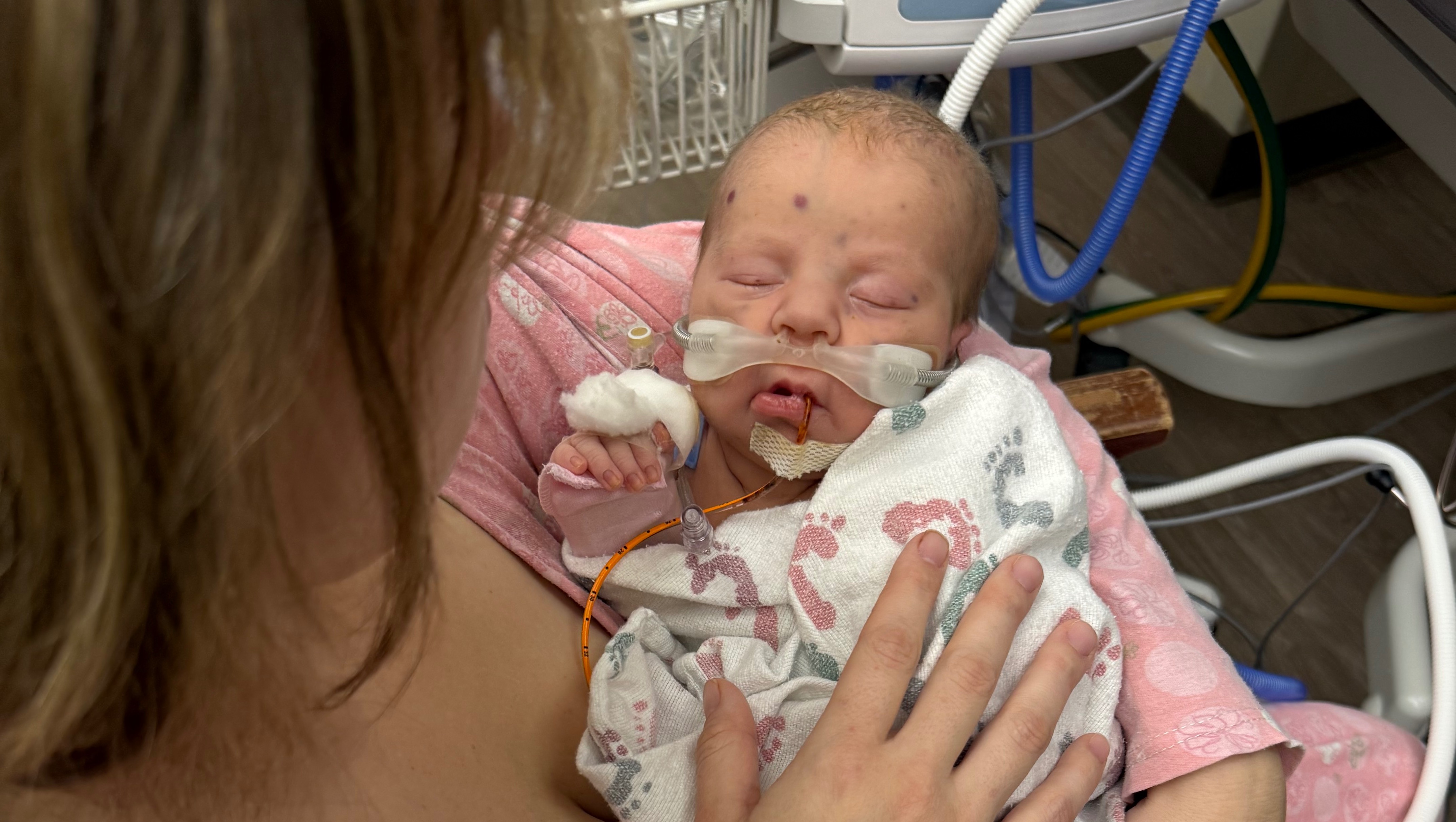 Fundraiser for Kayla Regan by Julie Toole : Oakley’s Battle with Leukemia