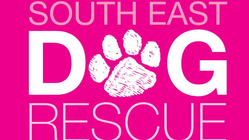 Fundraiser by Carly Butcher : Skydiving for southeast dog rescue