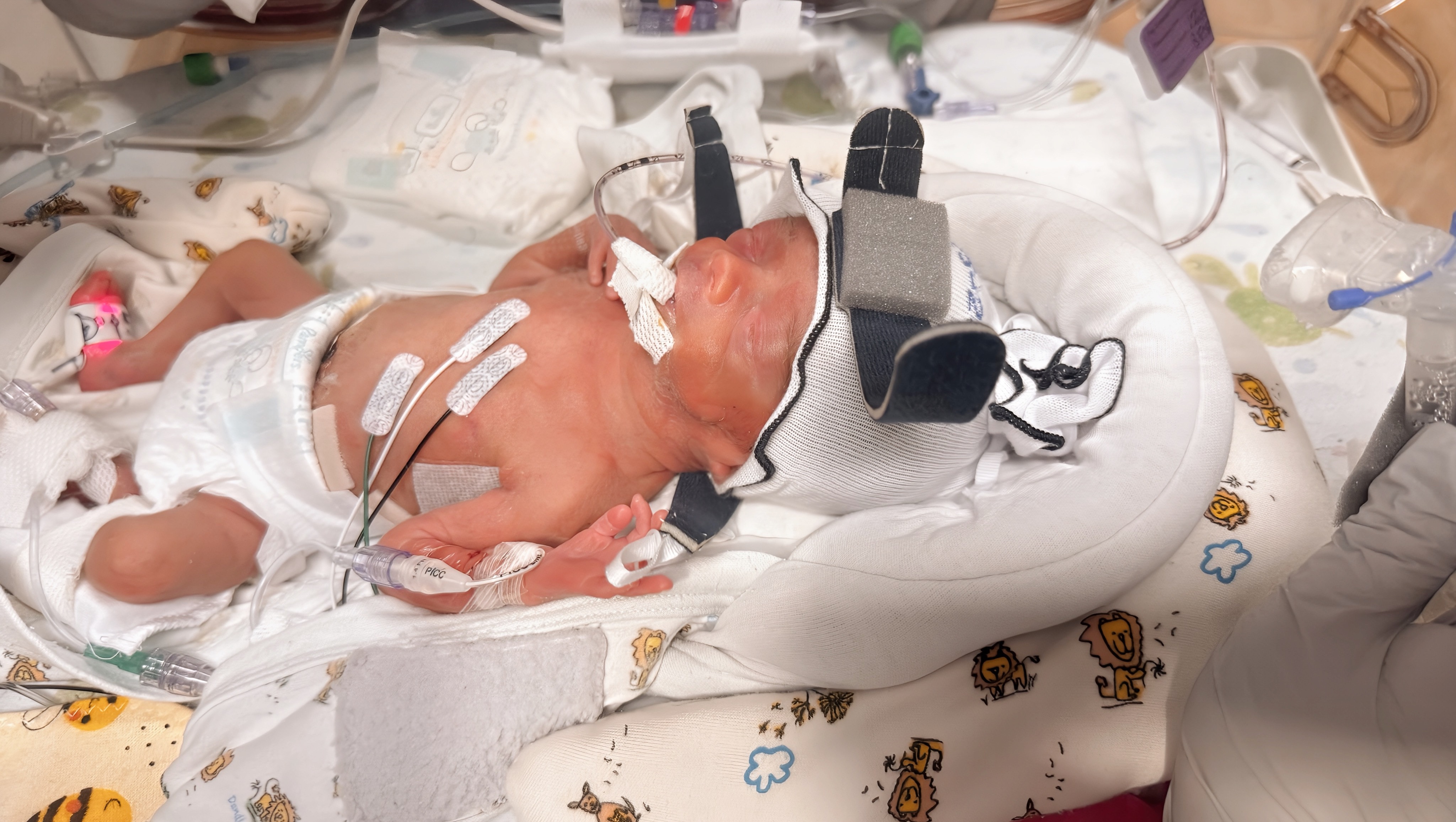 Fundraiser for Alexis Hernandez by Belen Hernandez : Support for Baby ...