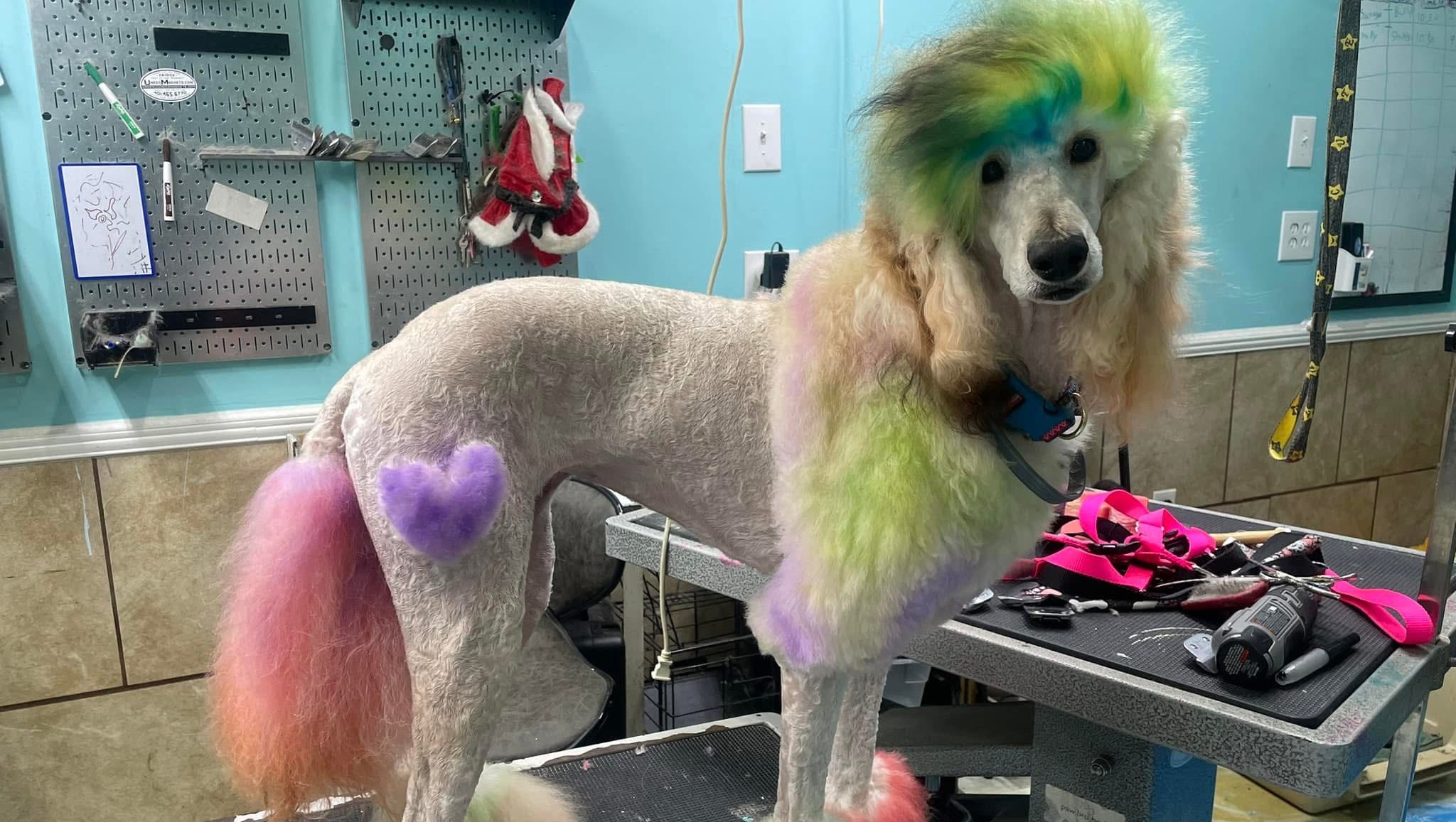 Fundraiser for Justin Ingerson by Kristi Kinsella : "Support Jenny ...