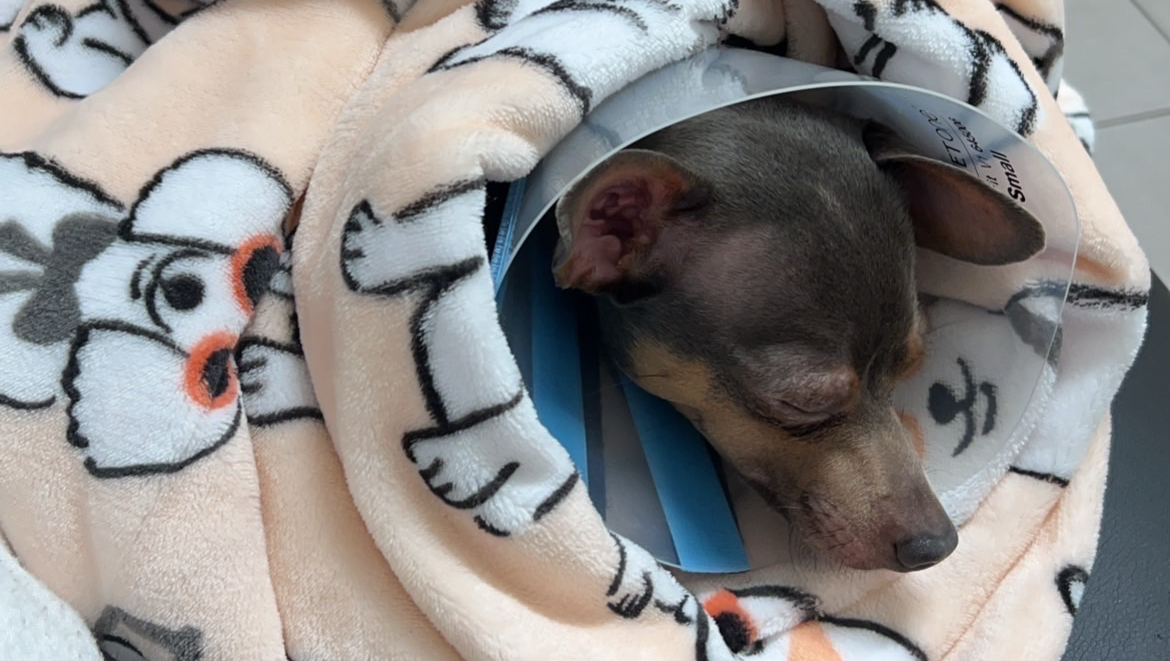 Fundraiser by Marie C Ramos Rodriguez : Help Asher Get Life-Saving Surgery