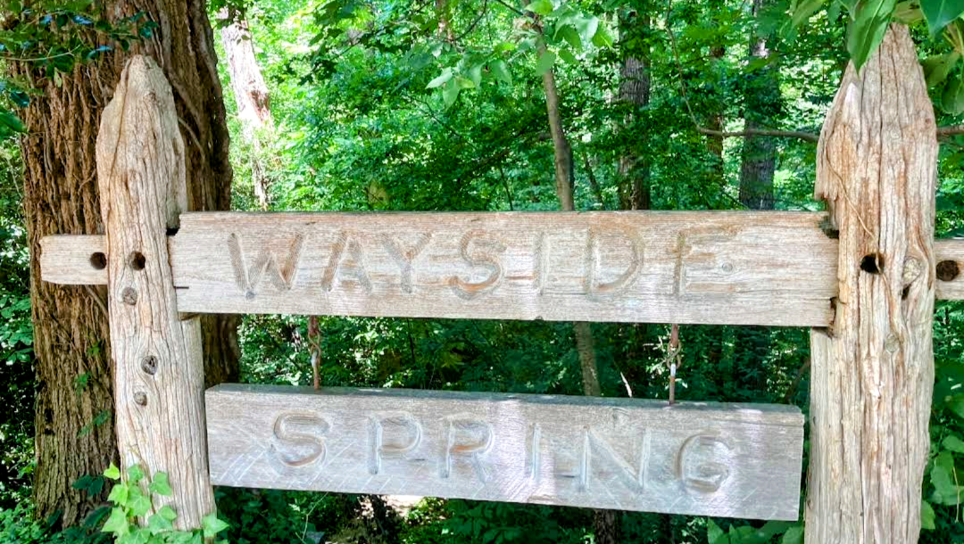 Fundraiser for Laura Robidoux by Kyle Levesque : Join Us in Testing ...