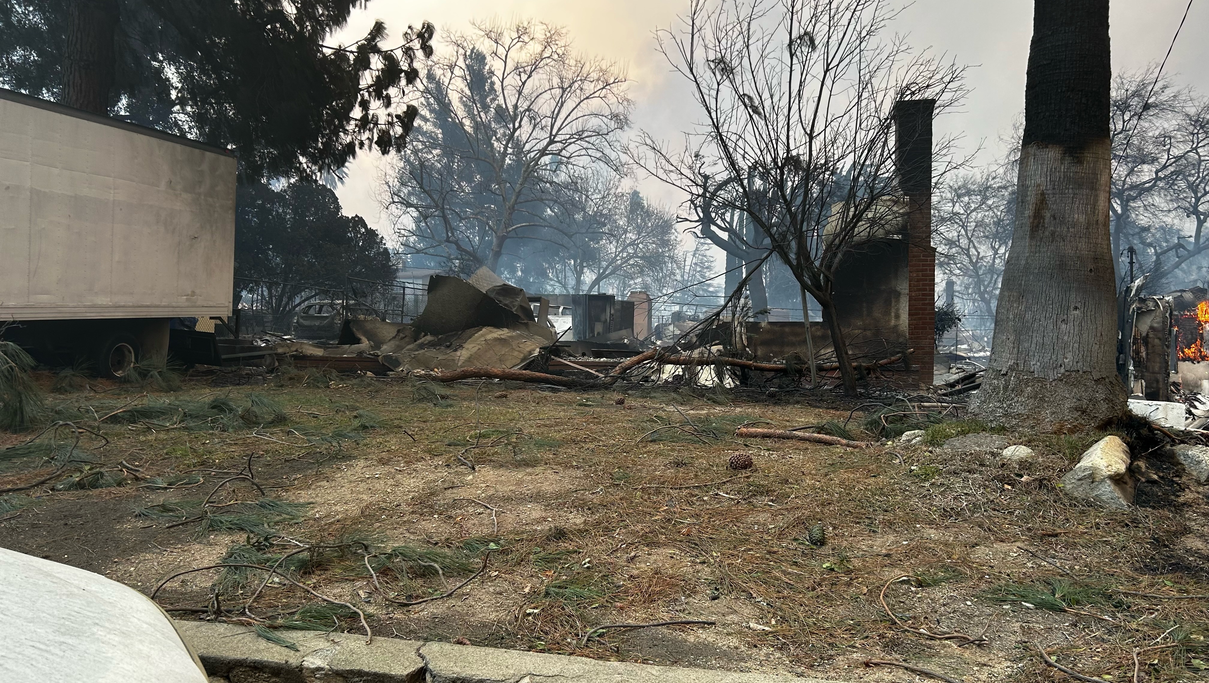 Fundraiser by Denise Chambers : Altadena Fire Victim Needs Your Help ...