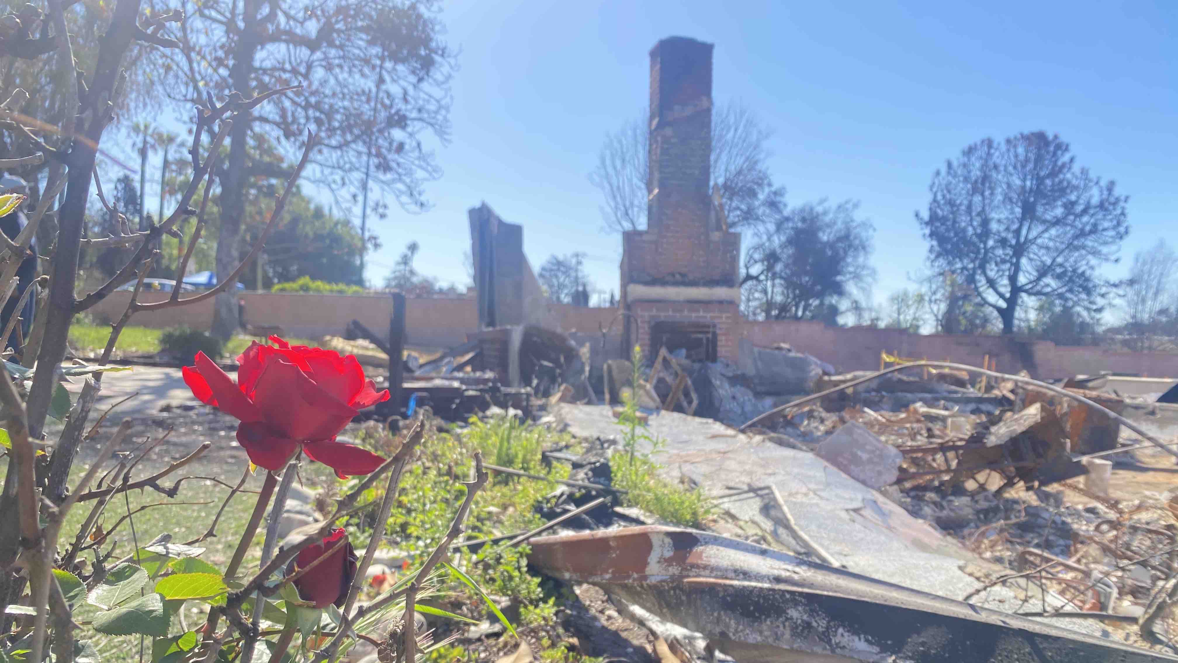 Fundraiser for Lara Wood by Briana Monda : Help 3 families displaced by ...