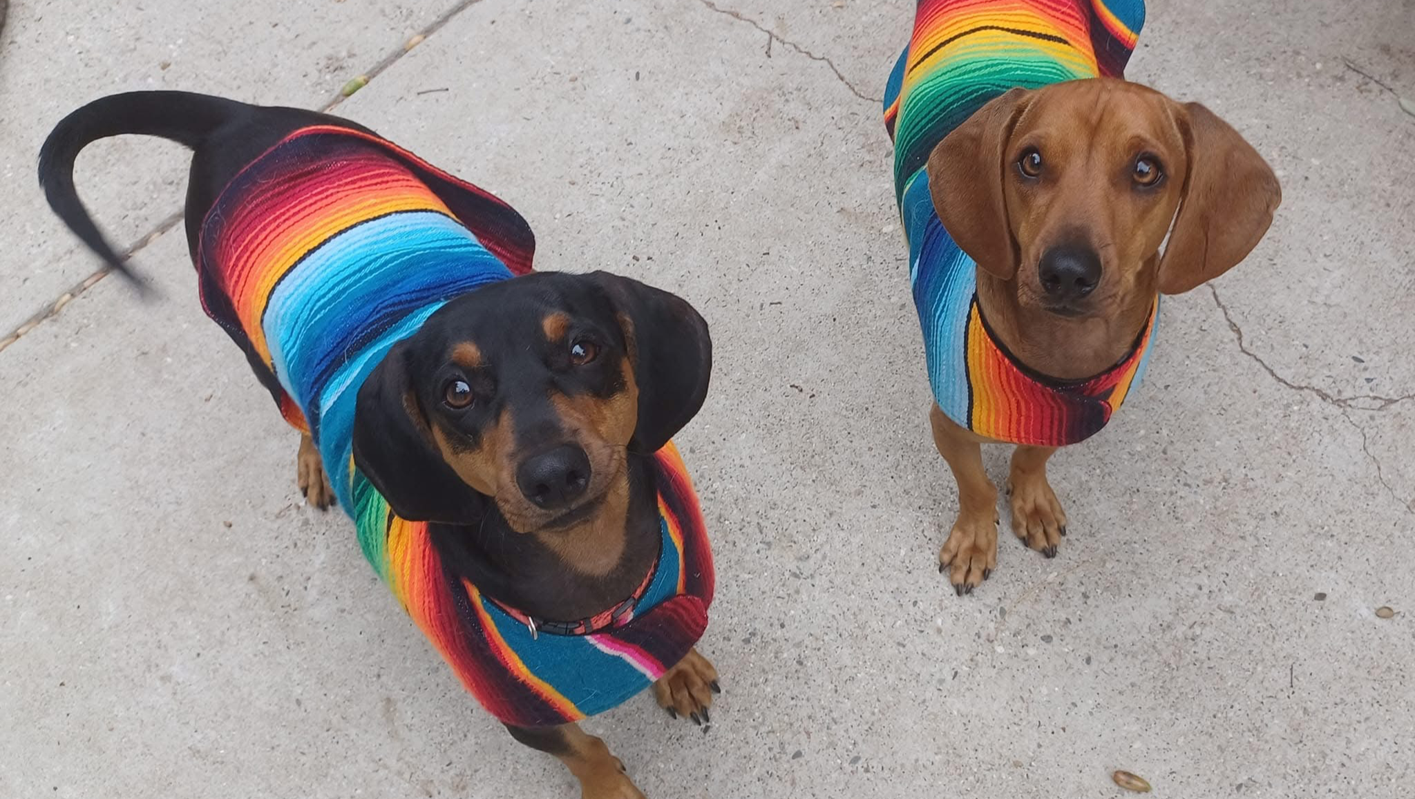 Fundraiser for Susan Lawler by Michelle Mayo : Help Sue and Al