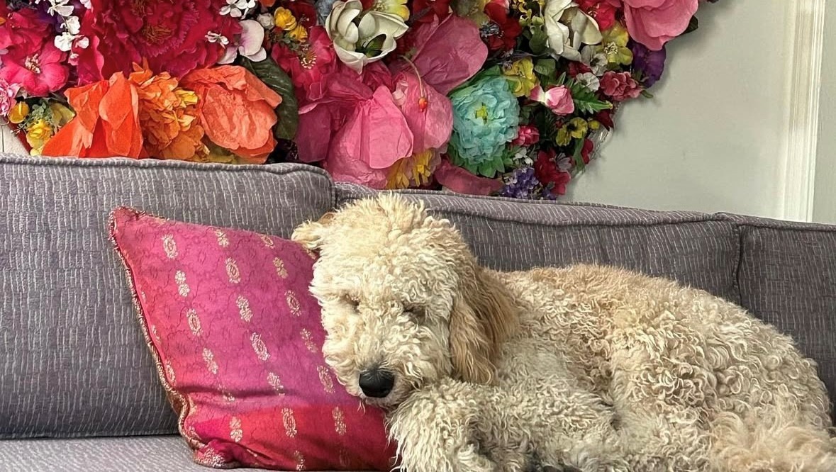 Fundraiser for Bridget Fonger by Jennifer Ellis : Help Bridget Rebuild ...