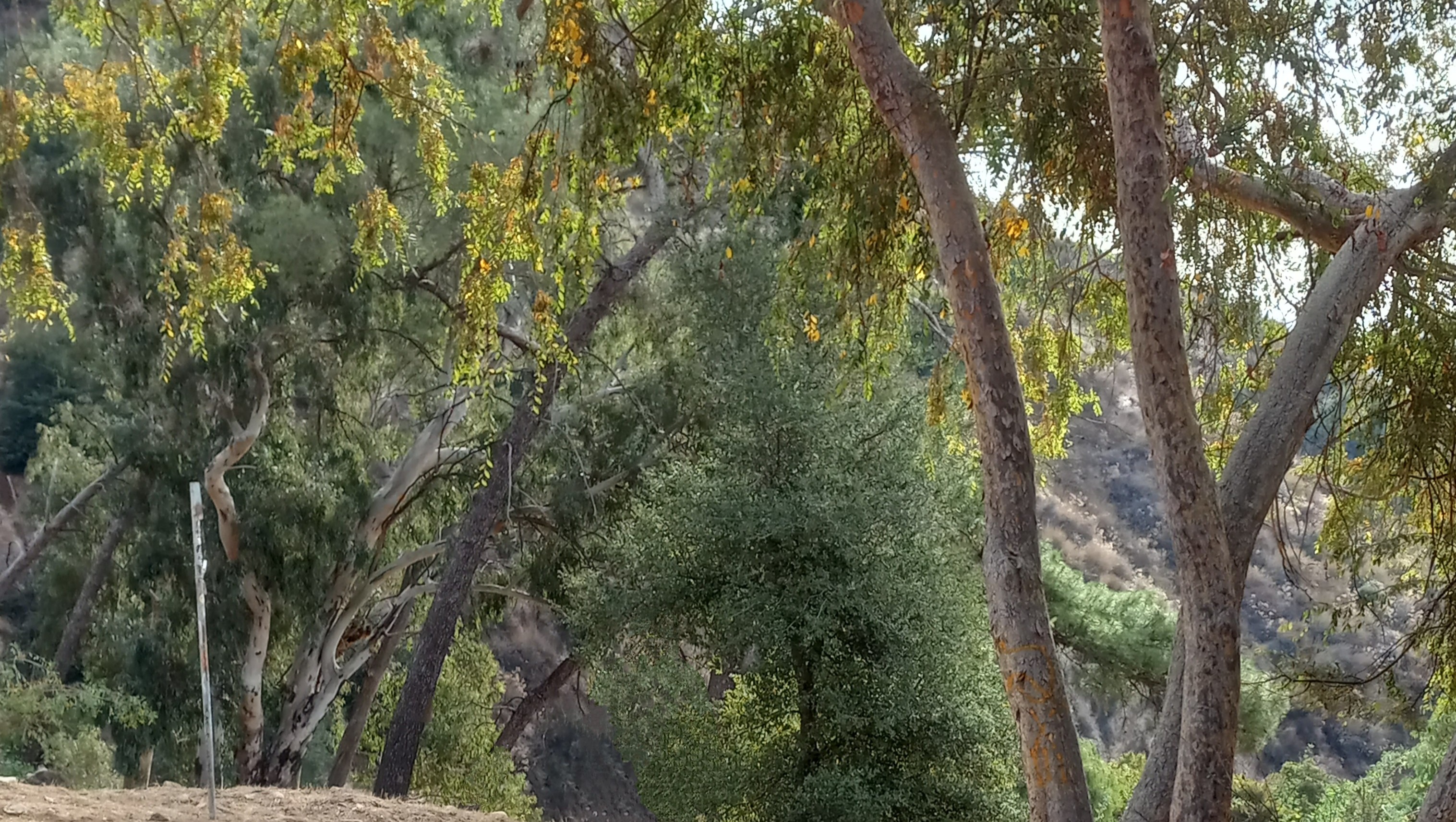 Fundraiser for Ann Ramage by Sherry Runyon : Family's Home Gone in ...