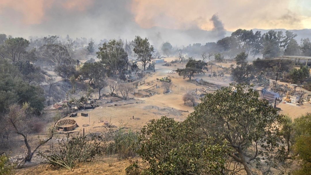 Fundraiser by Julia Zorthian : Support Zorthian Ranch