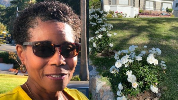 Fundraiser for Chenae Hodge by Aimee Pham : Help Chenae After Eaton Fire