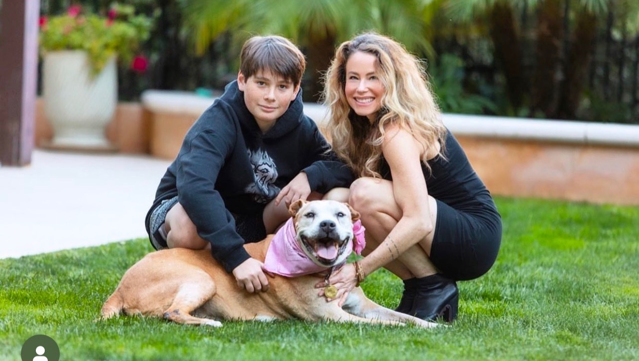 Fundraiser for Ellen Ballon Dante by Kat Ramsburg : Animal Rescue ...