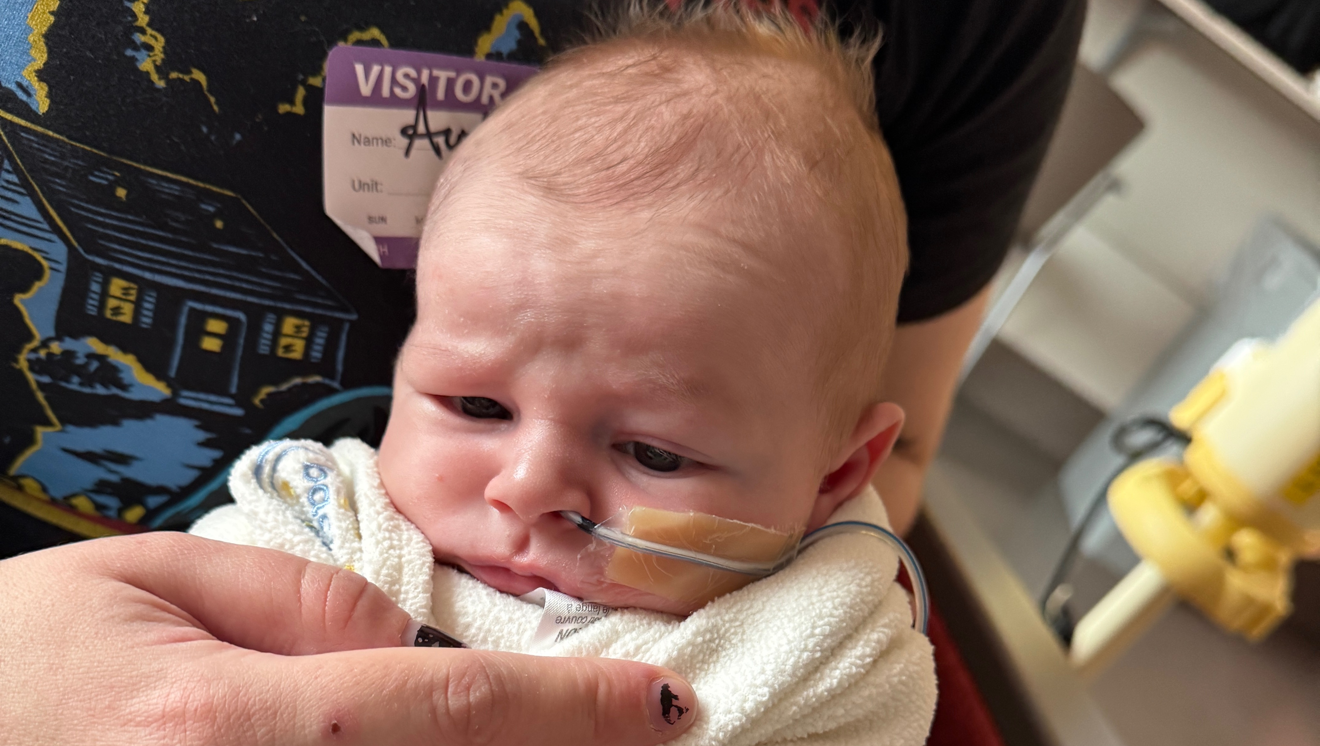 Fundraiser for Christian Giannone by Alannah Giannone : Rally for Baby ...