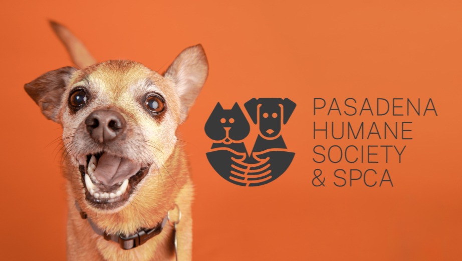 Fundraiser by Amie Prichard : Support Pasadena Humane Society's ...