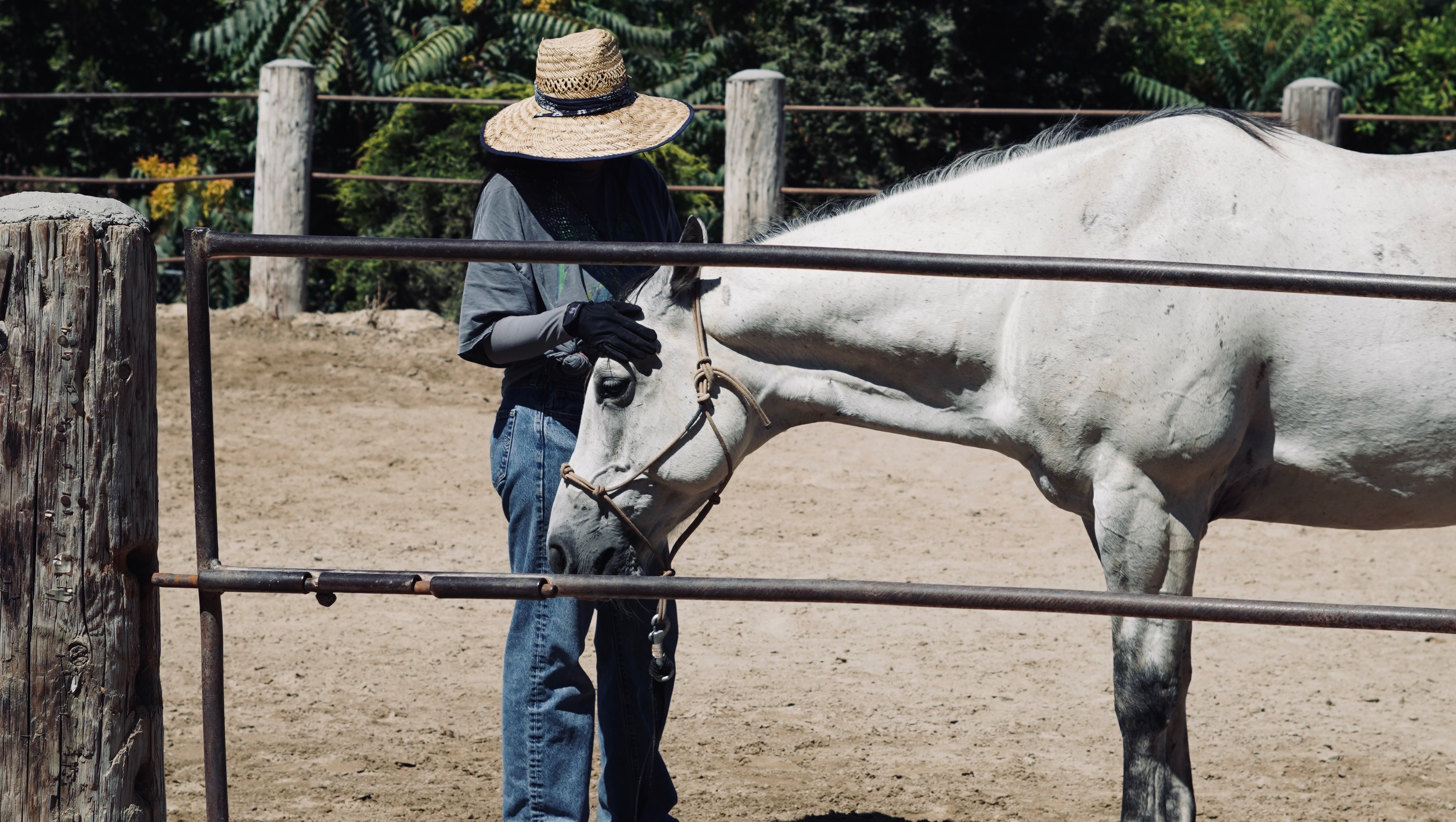 Fundraiser by Monica Gonzalez : Help with our horse supplies & tack