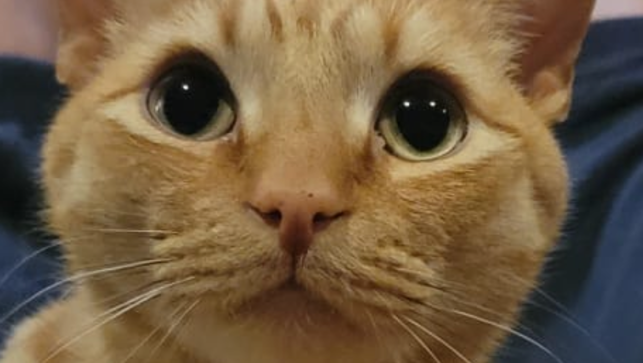 Fundraiser by Grace Bene : Help my dear dad and step mom start over ...