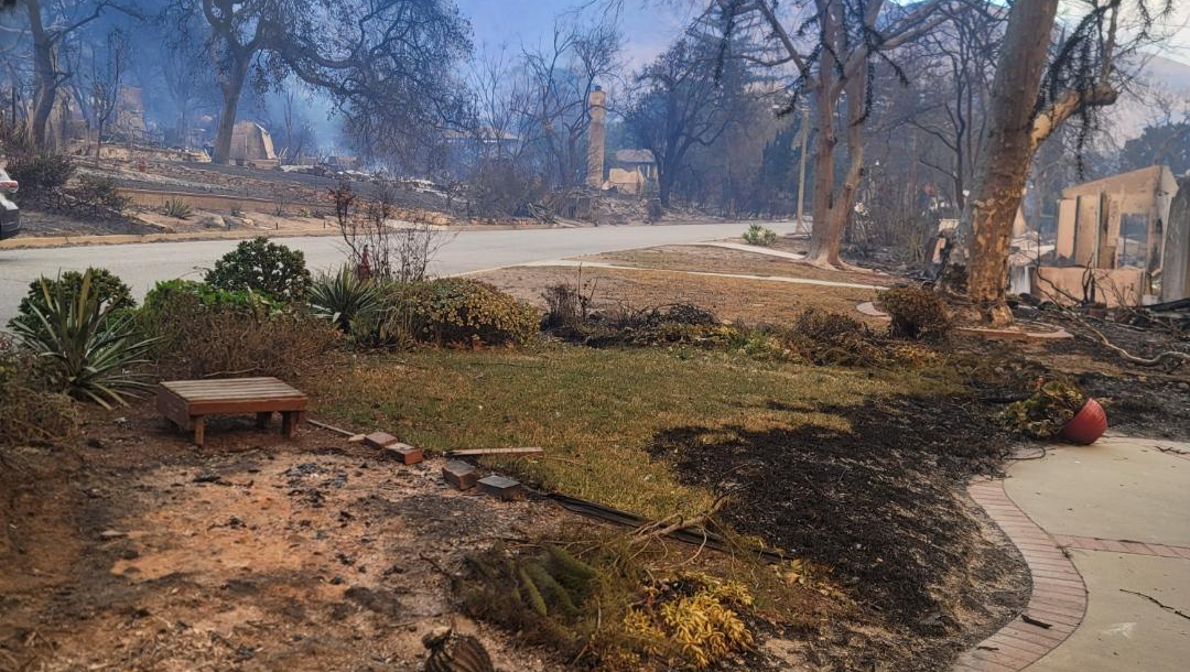 Fundraiser by David Aoki : Altadena Fires: Aid for the Aoki Family