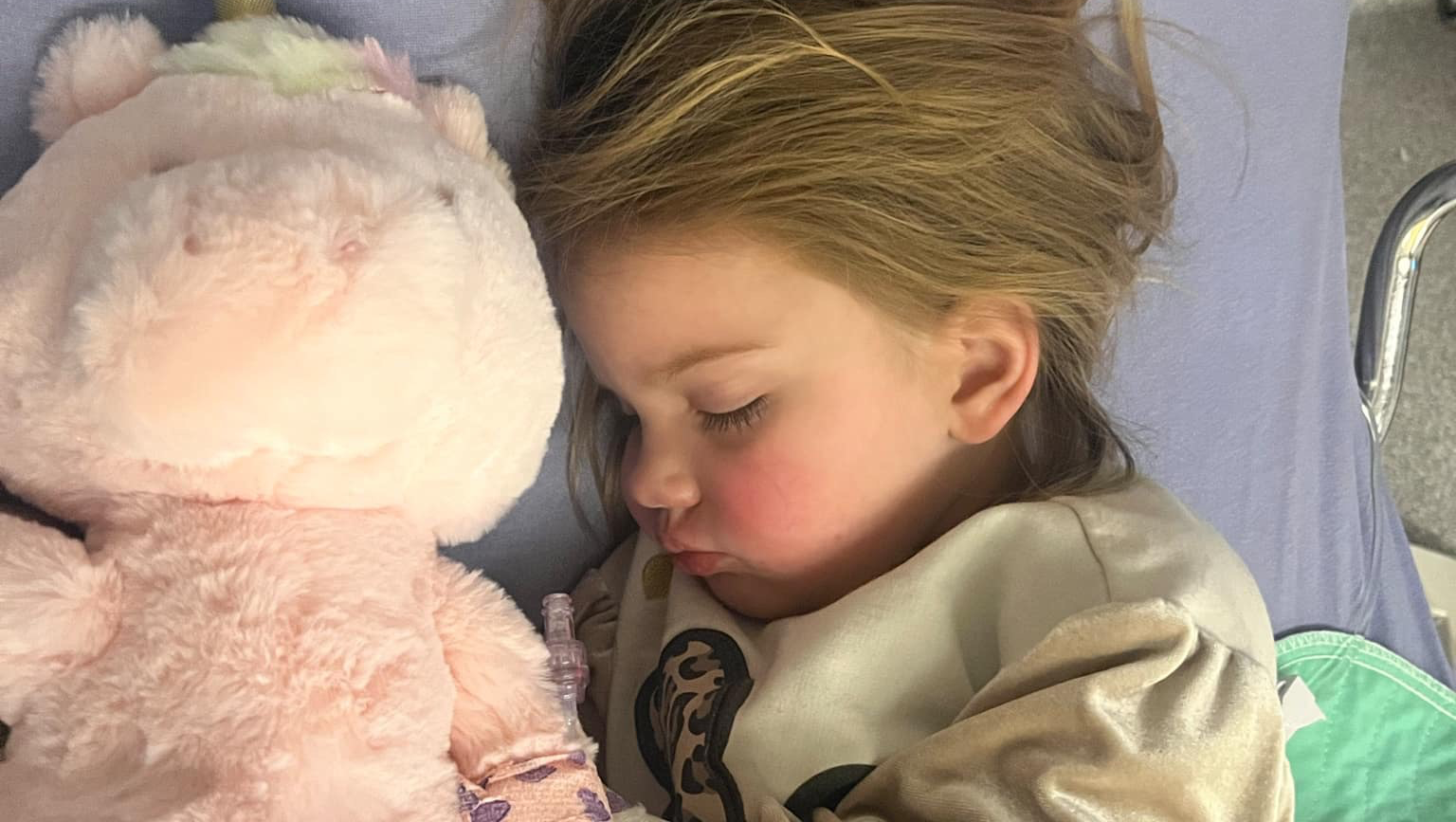 Fundraiser by Katie Wayman : Support Bella's Fight Against Diabetes