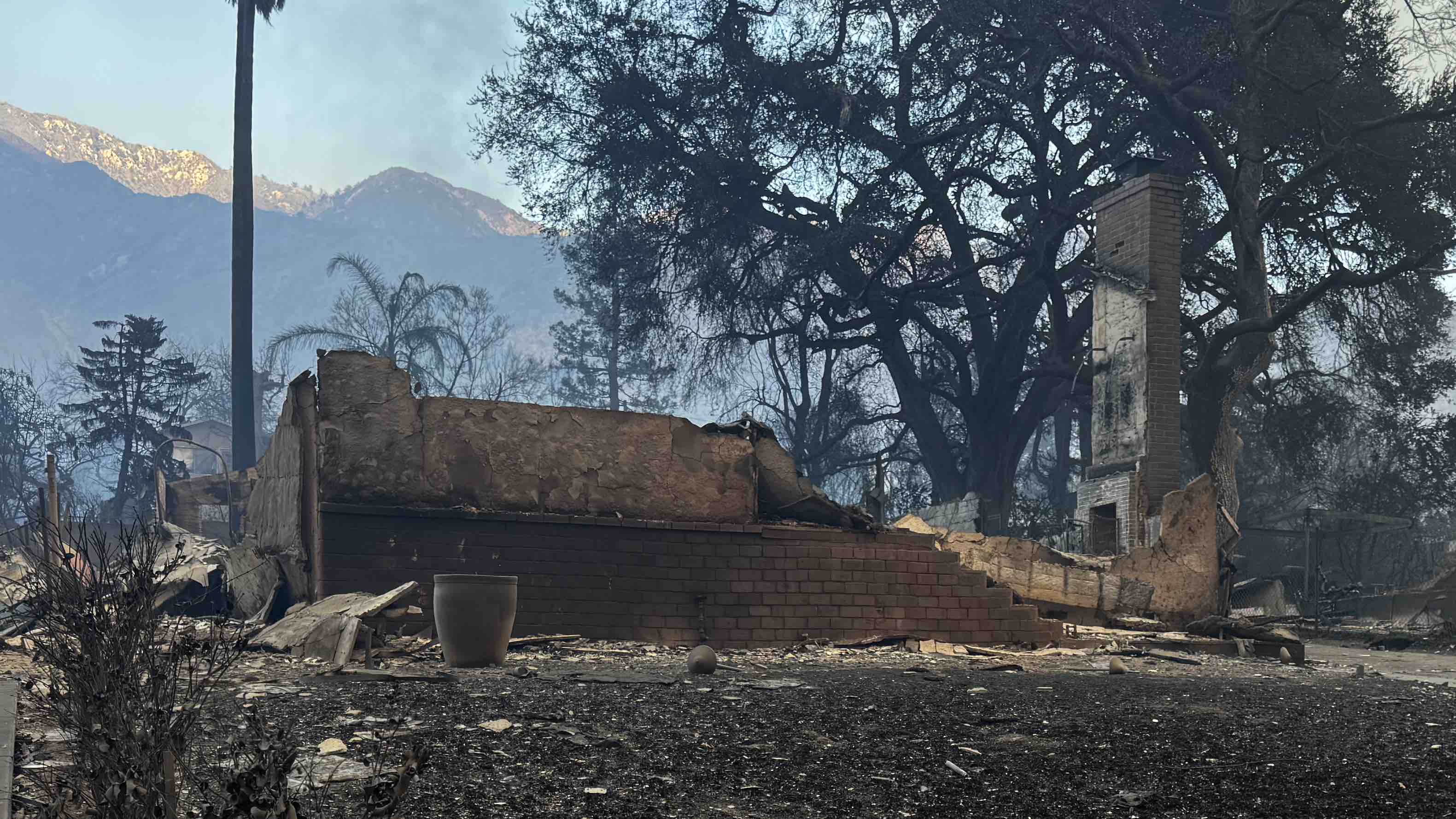 Fundraiser by Pitpatcha Daengsriwattanakul : Support Shiloh and His Mom ...