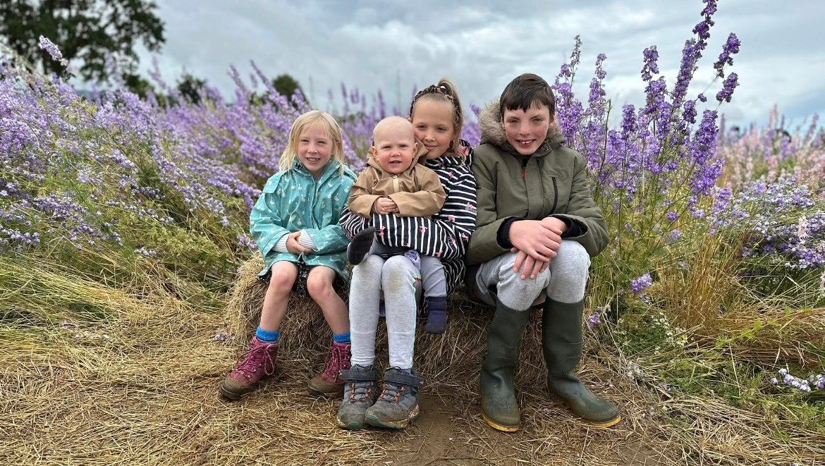 Fundraiser for Sarah Wheeler by Emily Watters : Treat fund for Ethan ...