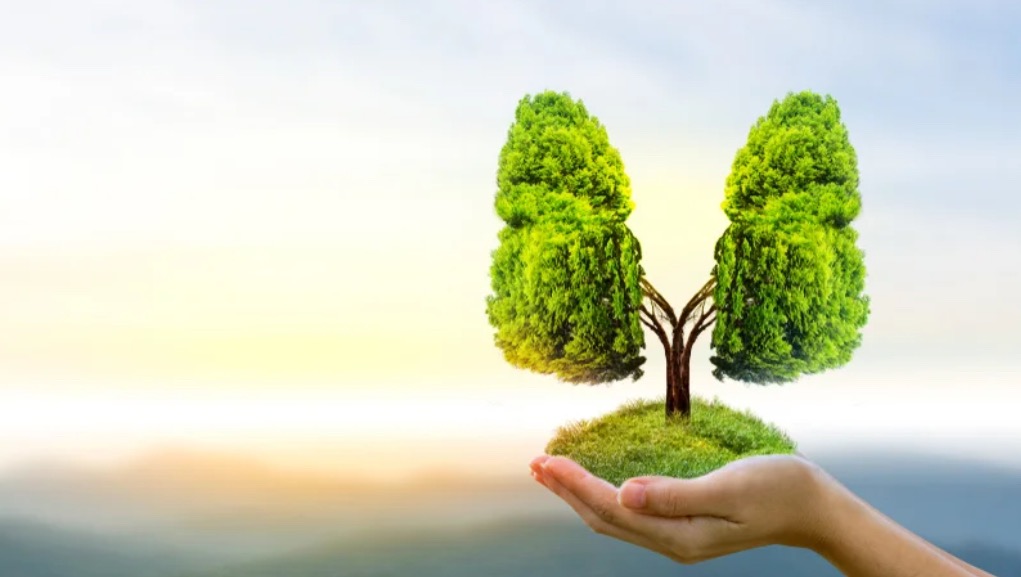 Fundraiser by Sara Morrell : Fund Legal Support for W.R. Grace Battle