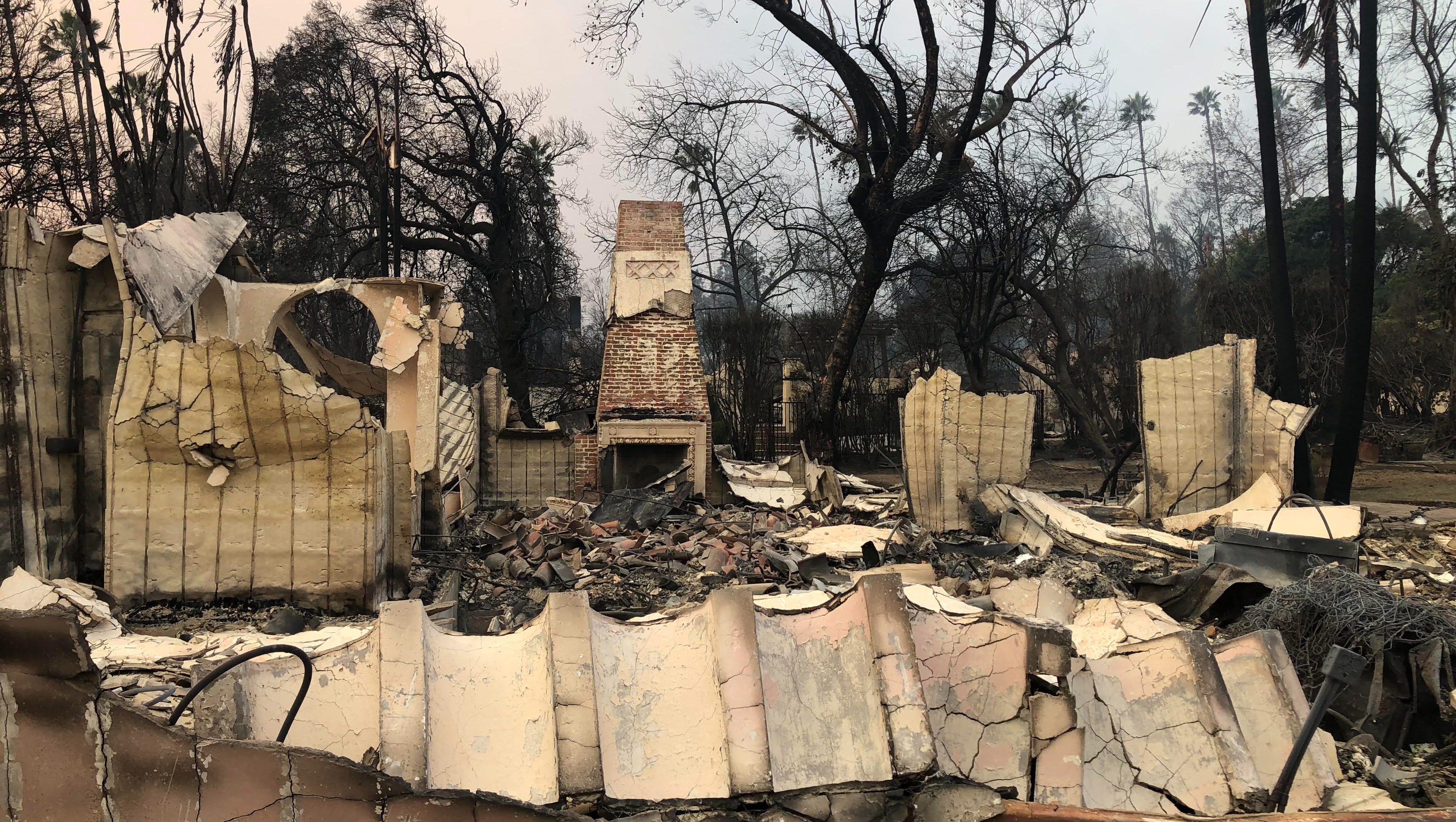 Fundraiser for Stephen Tavani by Nikola Douglas-Tavani : Donate to Help ...