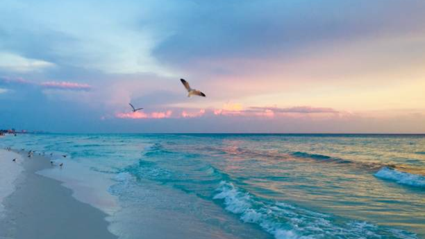 Fundraiser for ElizabethAnn Forgette by Lindsay Bohan : Support for ...