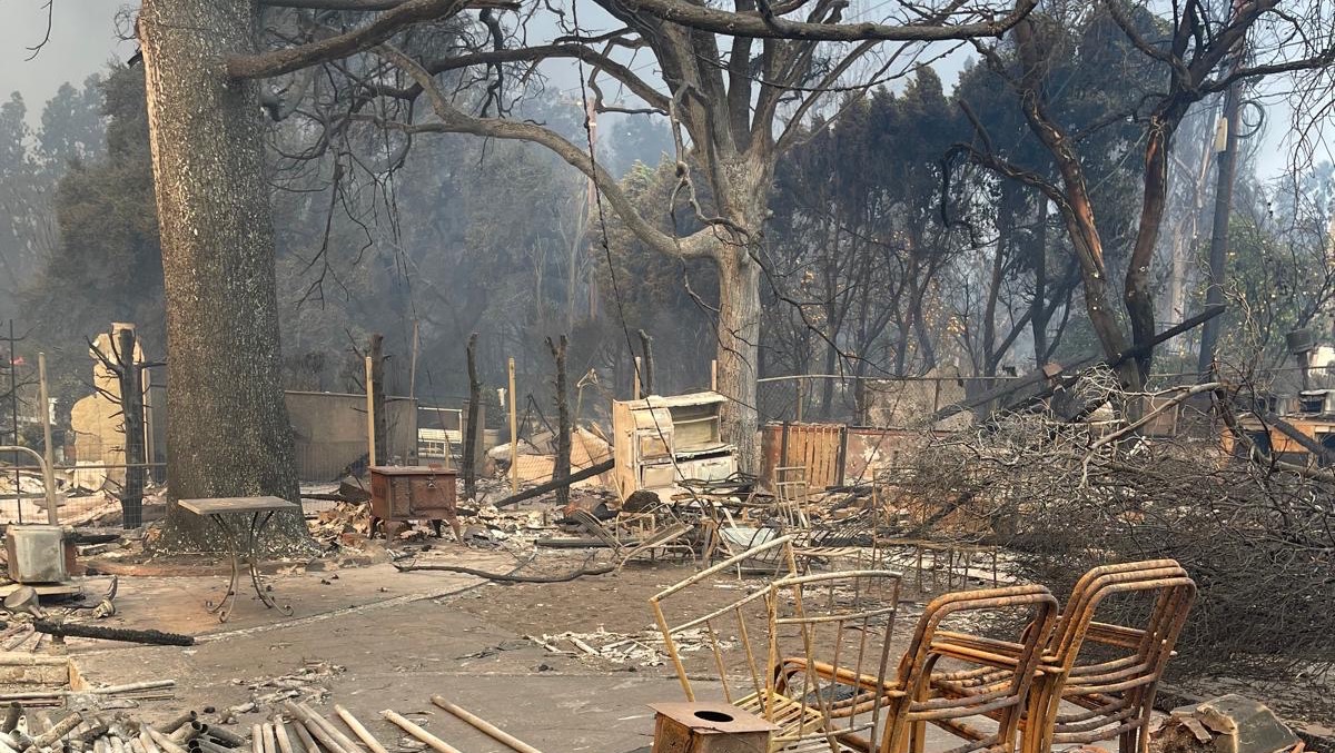 Fundraiser for Sharon Ware by Mike Abrantie : Altadena Fires claim ...