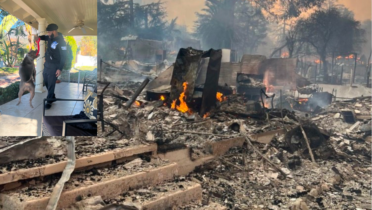 Fundraiser for Cameron Schell by Adrian Dodds : Support Cameron Schell ...