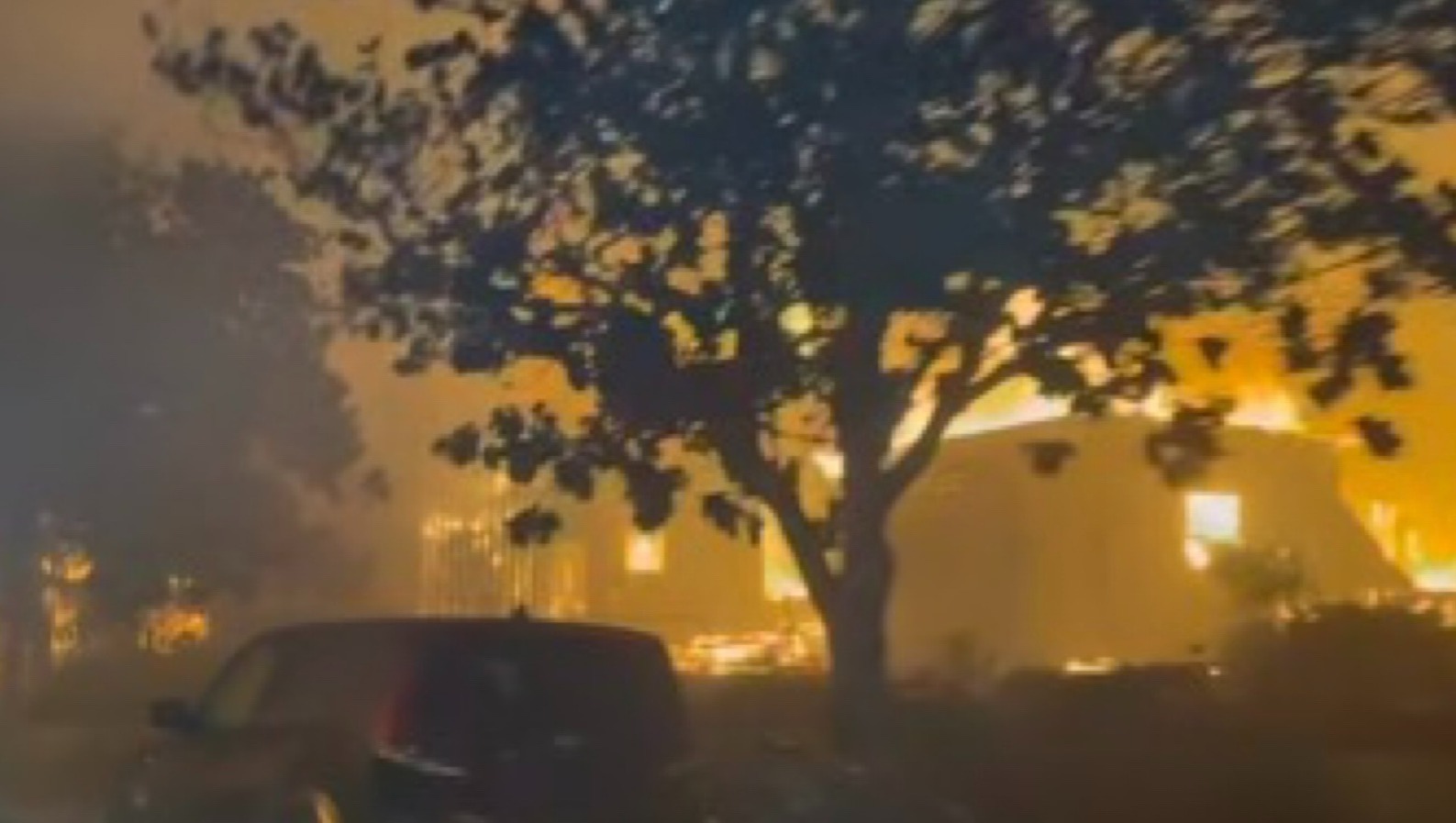 Fundraiser for Stephanie Hackett by Meredith Springer : Help Stephanie ...