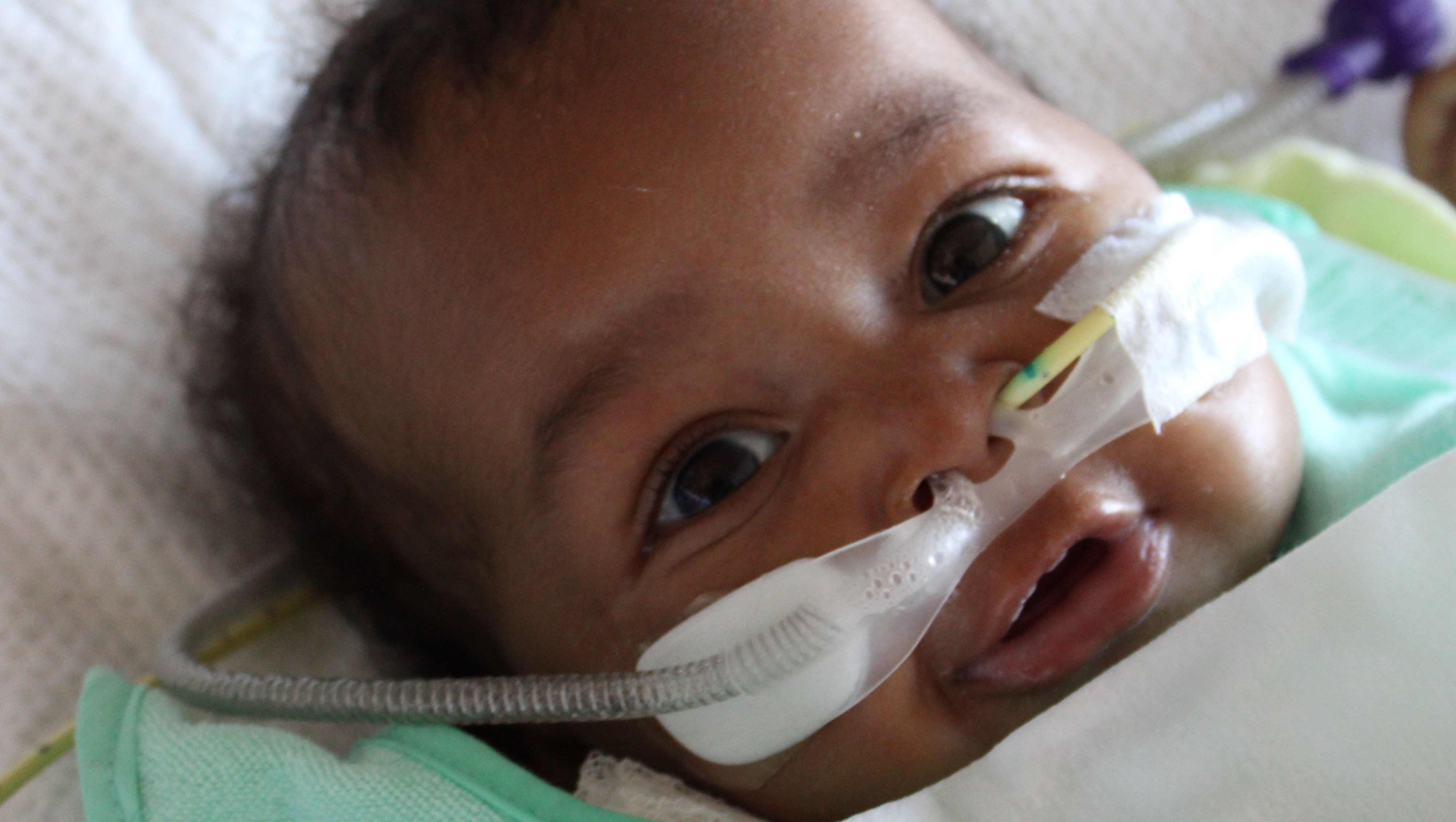 Fundraiser by Darrion Harper : Support Nova Harper in Her Final Moments.