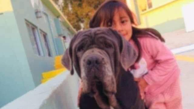 Fundraiser by Andrea Knight : A PLEA FOR SWEET MAYA