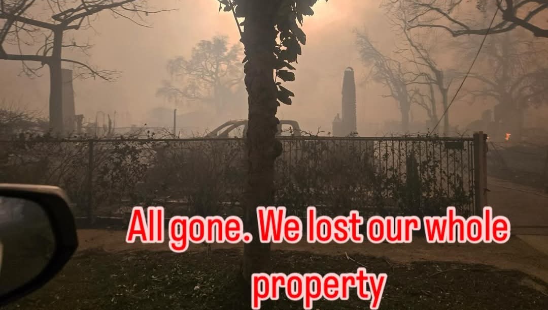 Fundraiser for Wendy Van Dalm by San Pedro Art Association : Help Wendy ...