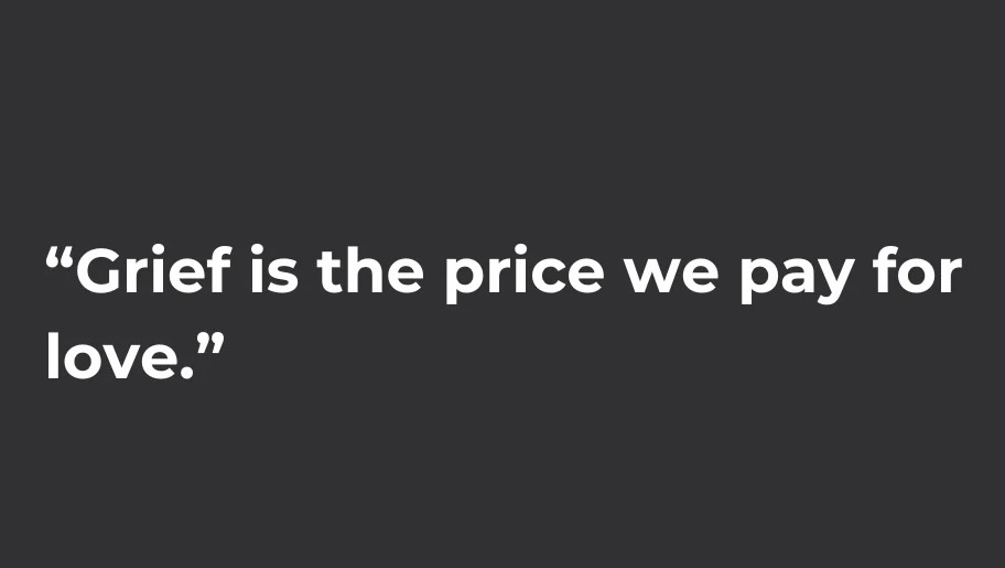 Fundraiser by Sean Falvey : Aid for Nora's Healing Journey