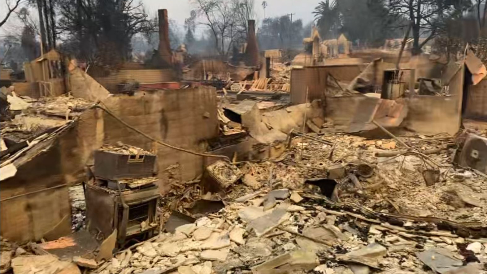 Fundraiser for Tom Hogen-Esch by Carlos Frank : Support Tom Hogen-Esch ...