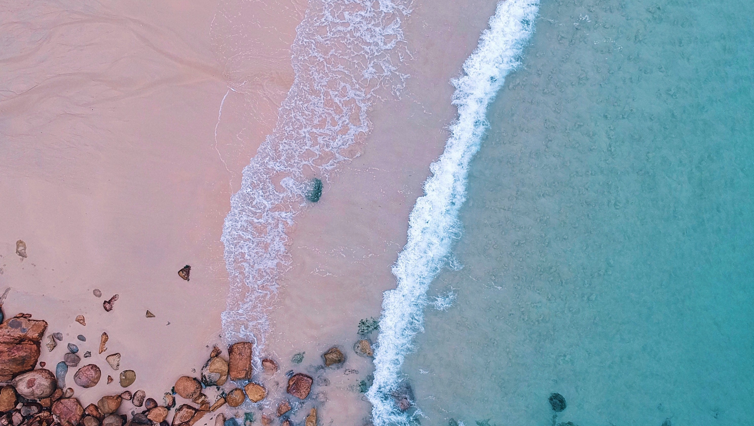 Fundraiser for Heather Pelkey by Tyler Hayden : Support Venice Store ...