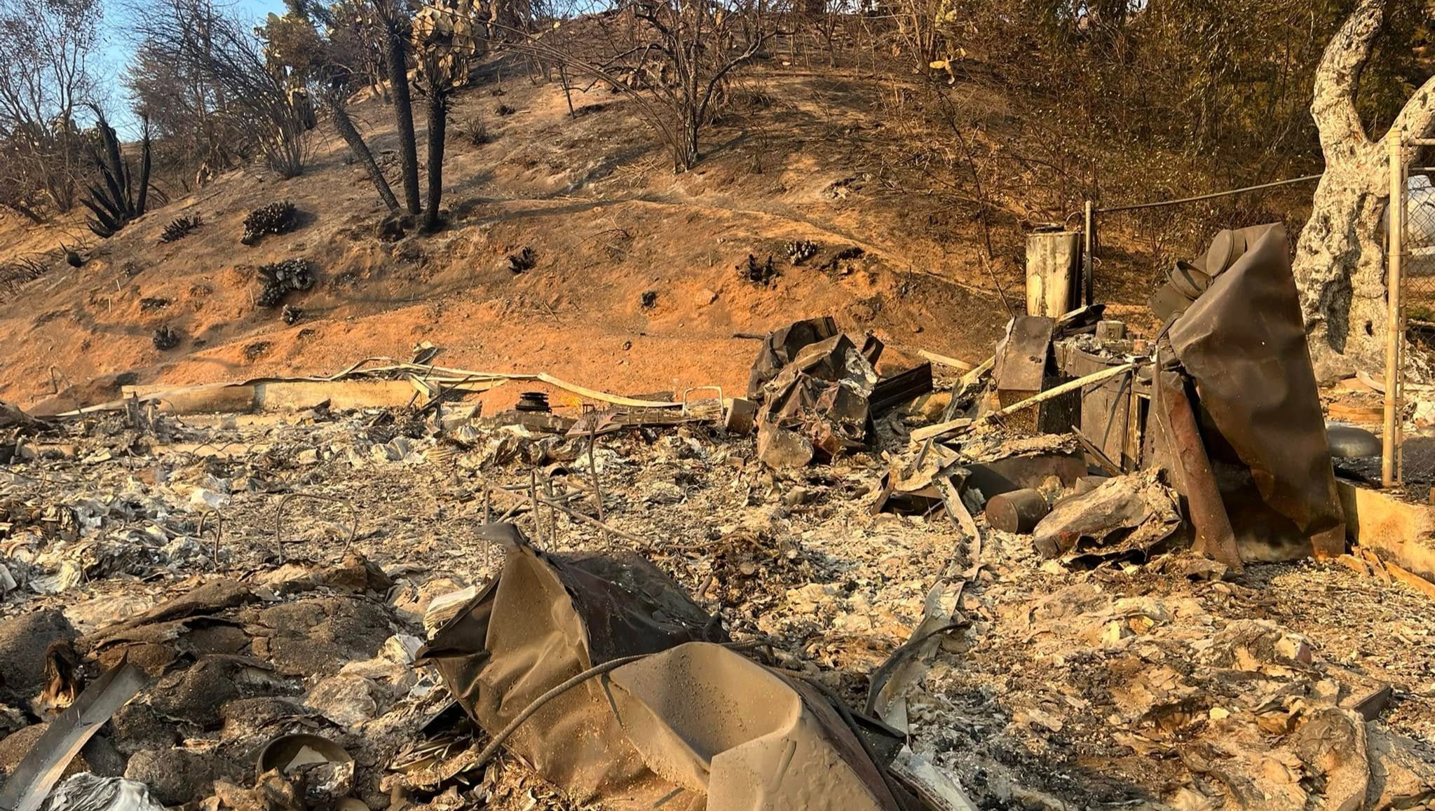 Fundraiser for Judi Nuccio by Kathy Liu : Aid Nuccio's Nurseries ...