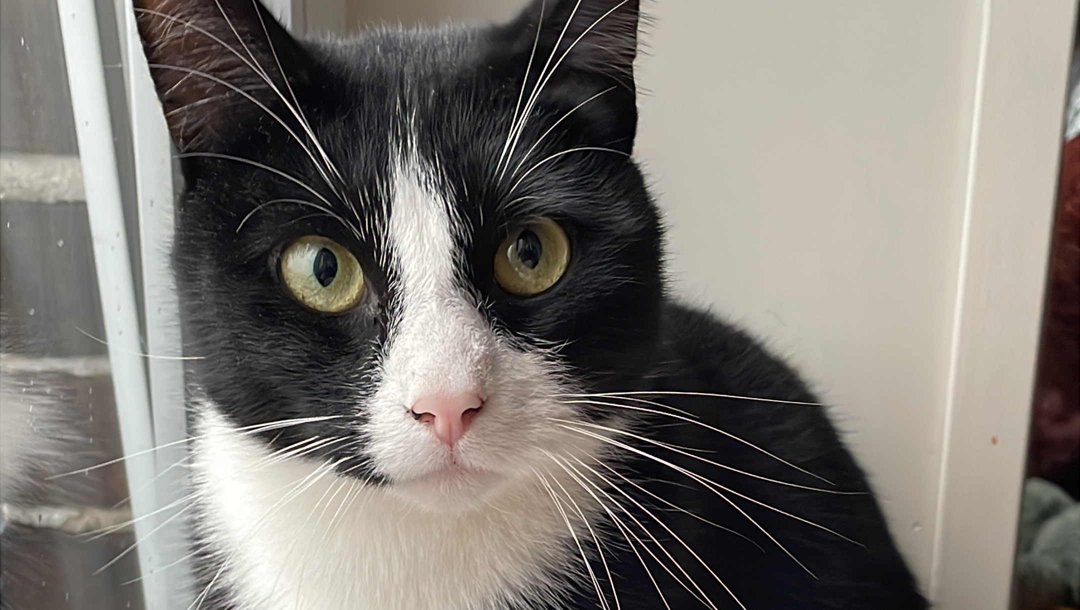 Fundraiser by Caroline Horan : Assist Caroline and Zoë in Bug's Memory
