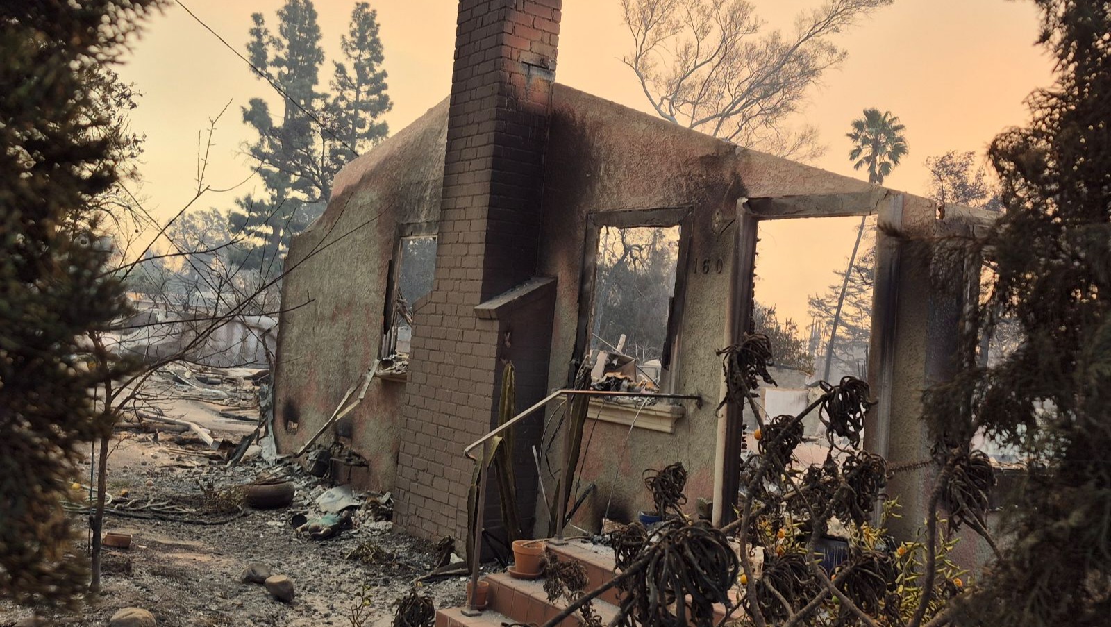 Fundraiser for Alyson cook Cook by Michael Alofoje : Help Alyson Cook ...