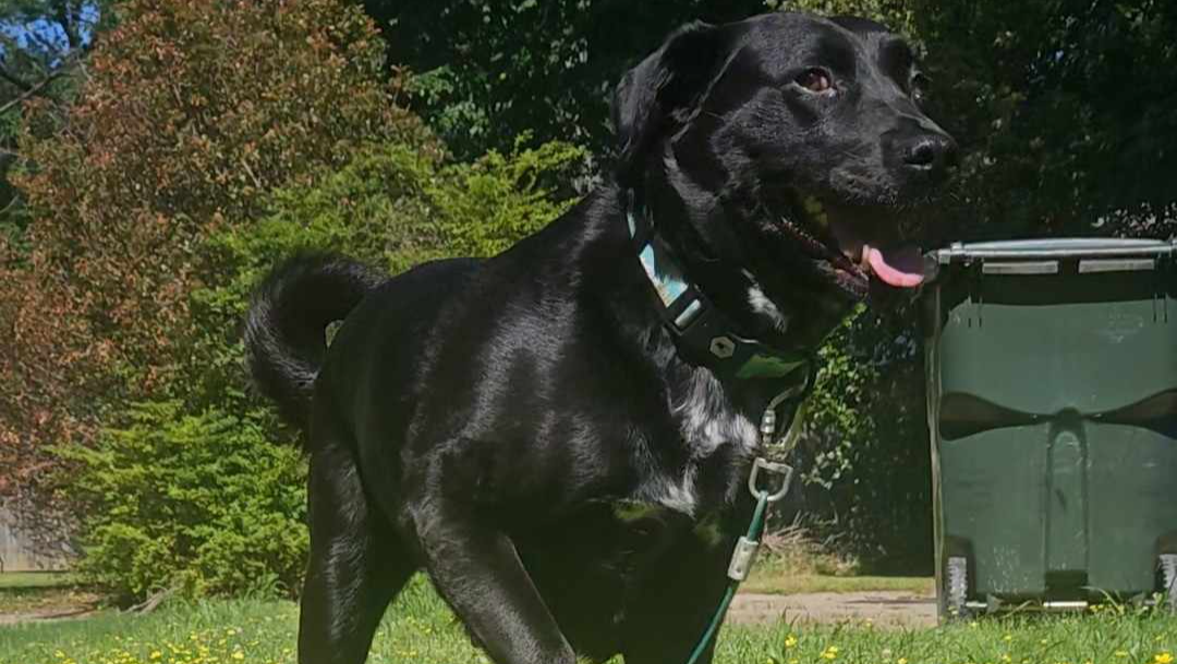 Fundraiser for Alesa Matlock by Darcie Richardson : Support Alesa's ...