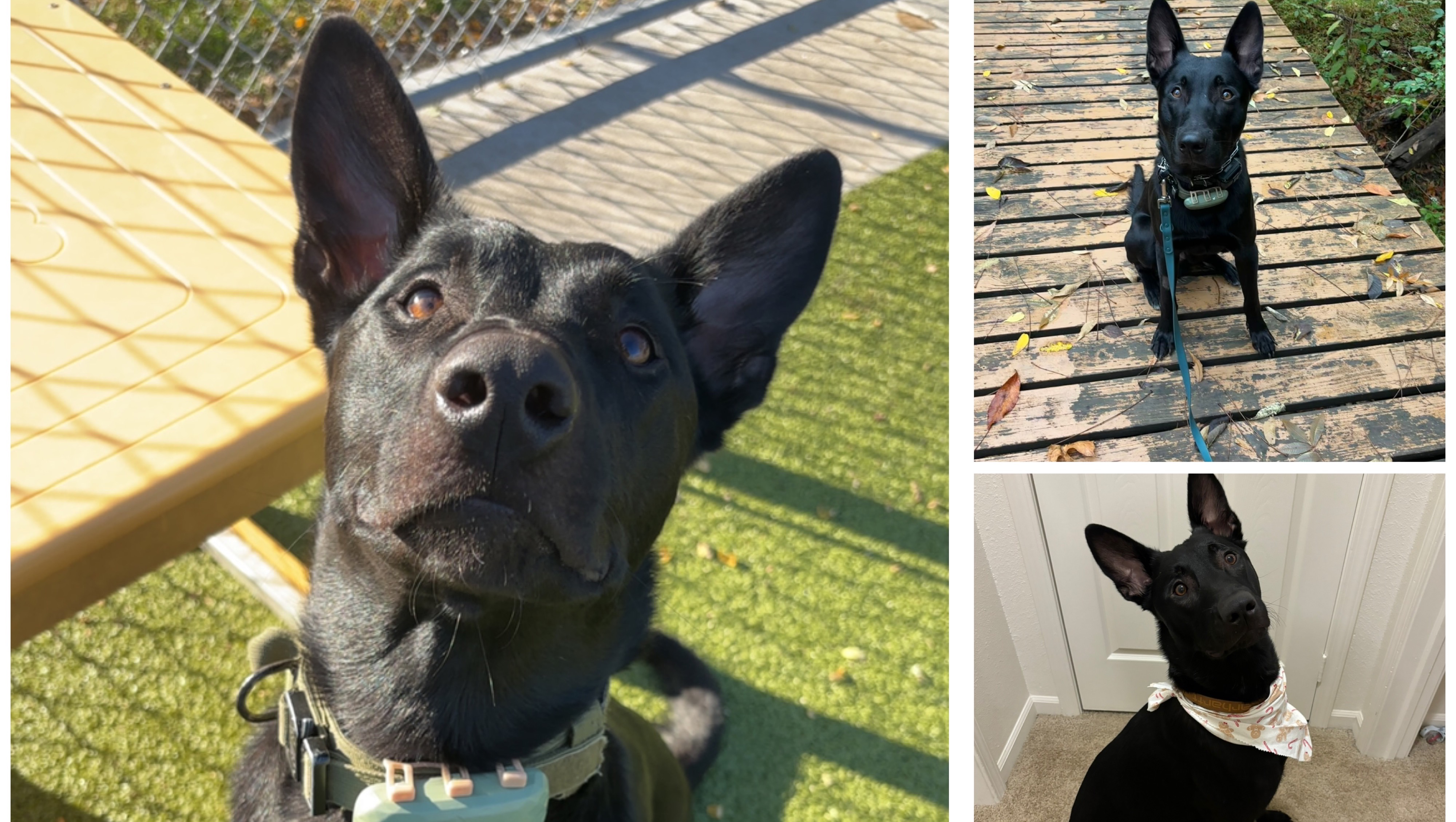 Fundraiser by Mack Zemter : Support Bruce's Fight Against IBD