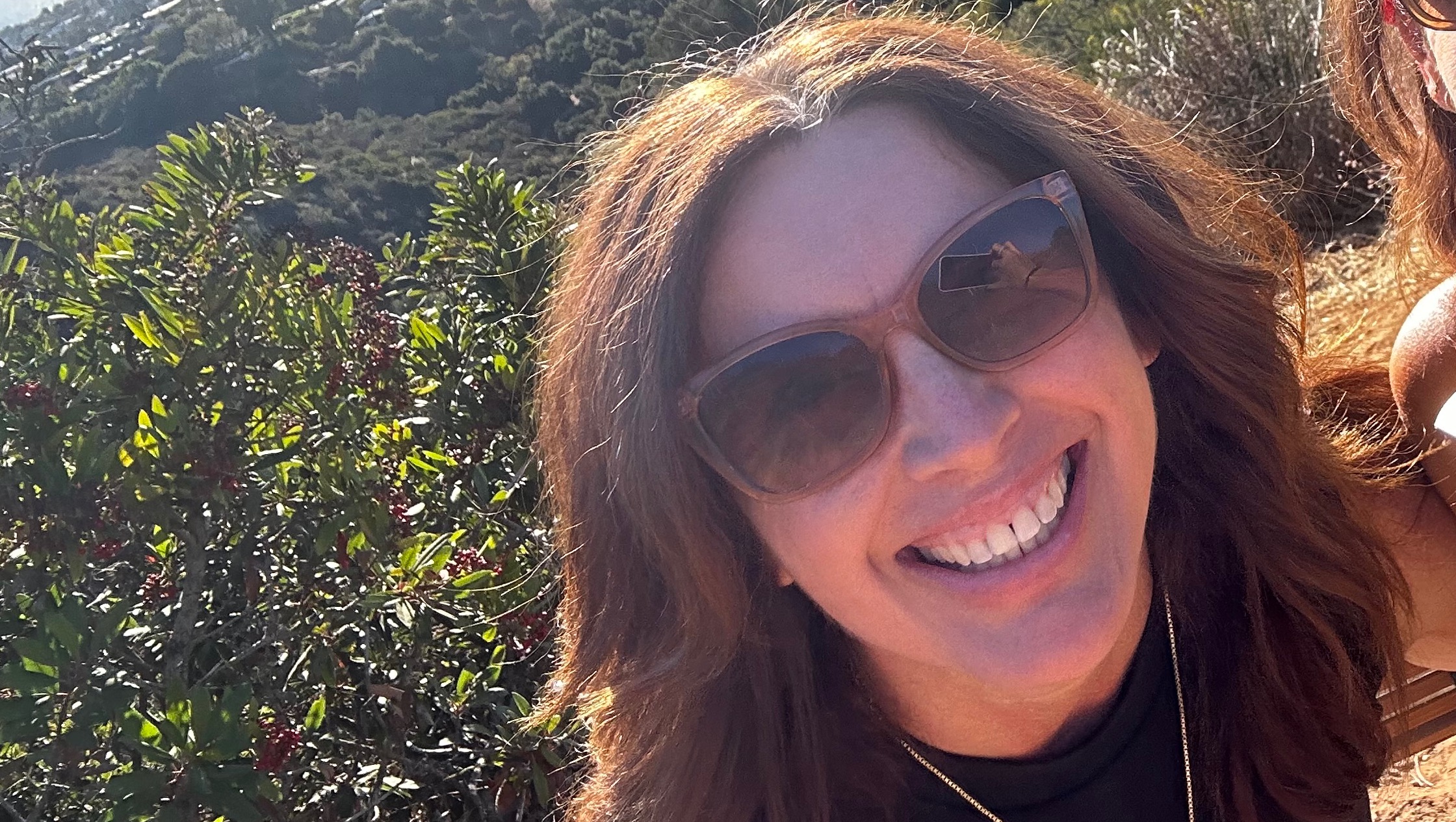 Fundraiser for daniela romano by Sondra Marcus : Palisades Fire Relief ...