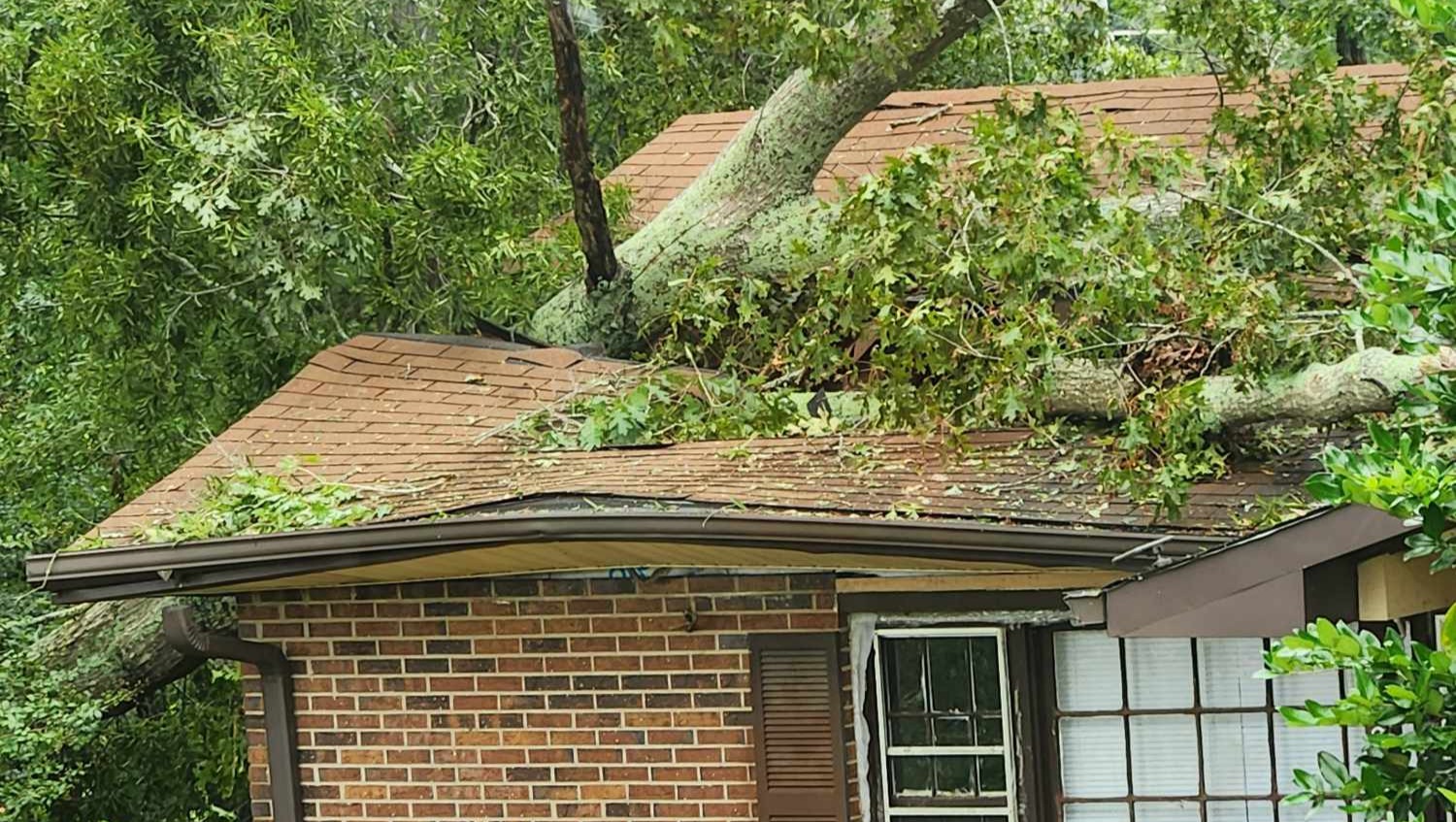 Fundraiser for Joy Dickerson by Matt and Jessica Hubbard : Hurricane ...