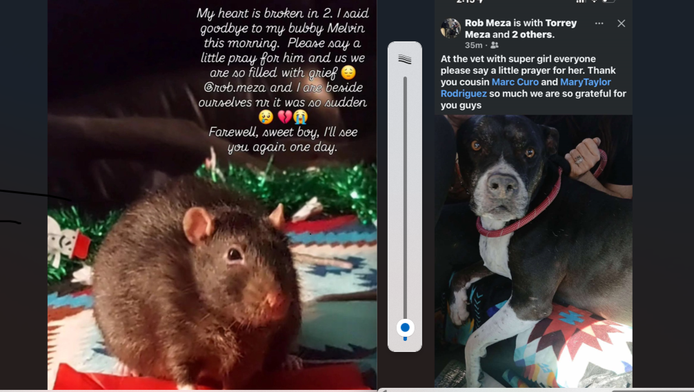 Fundraiser by Erin Beach : Help Rob and Torrey with vet and end of life ...