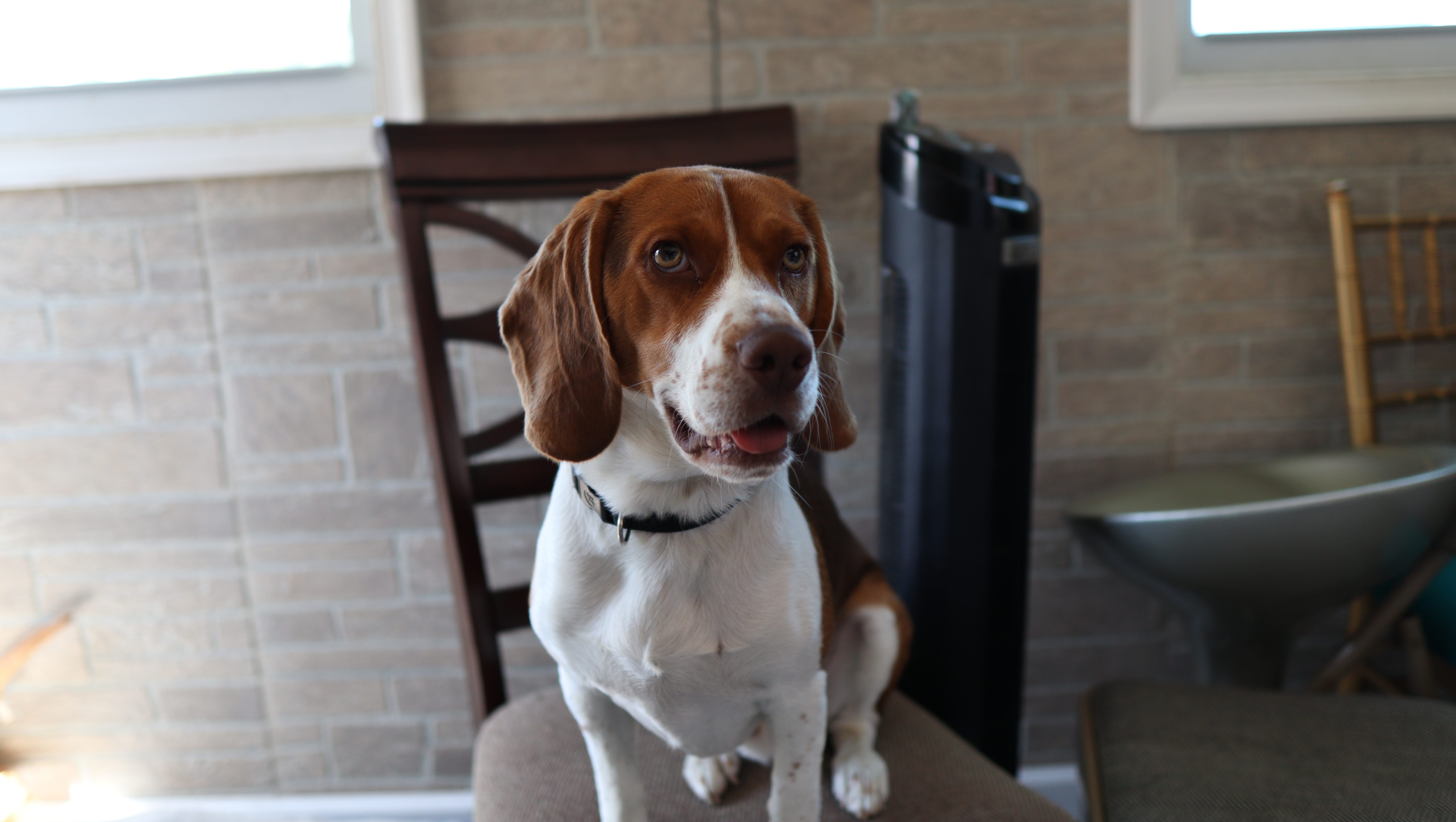 Fundraiser by Eduviges Ozuna Quezada : Support Benji's Long Road to Recovery