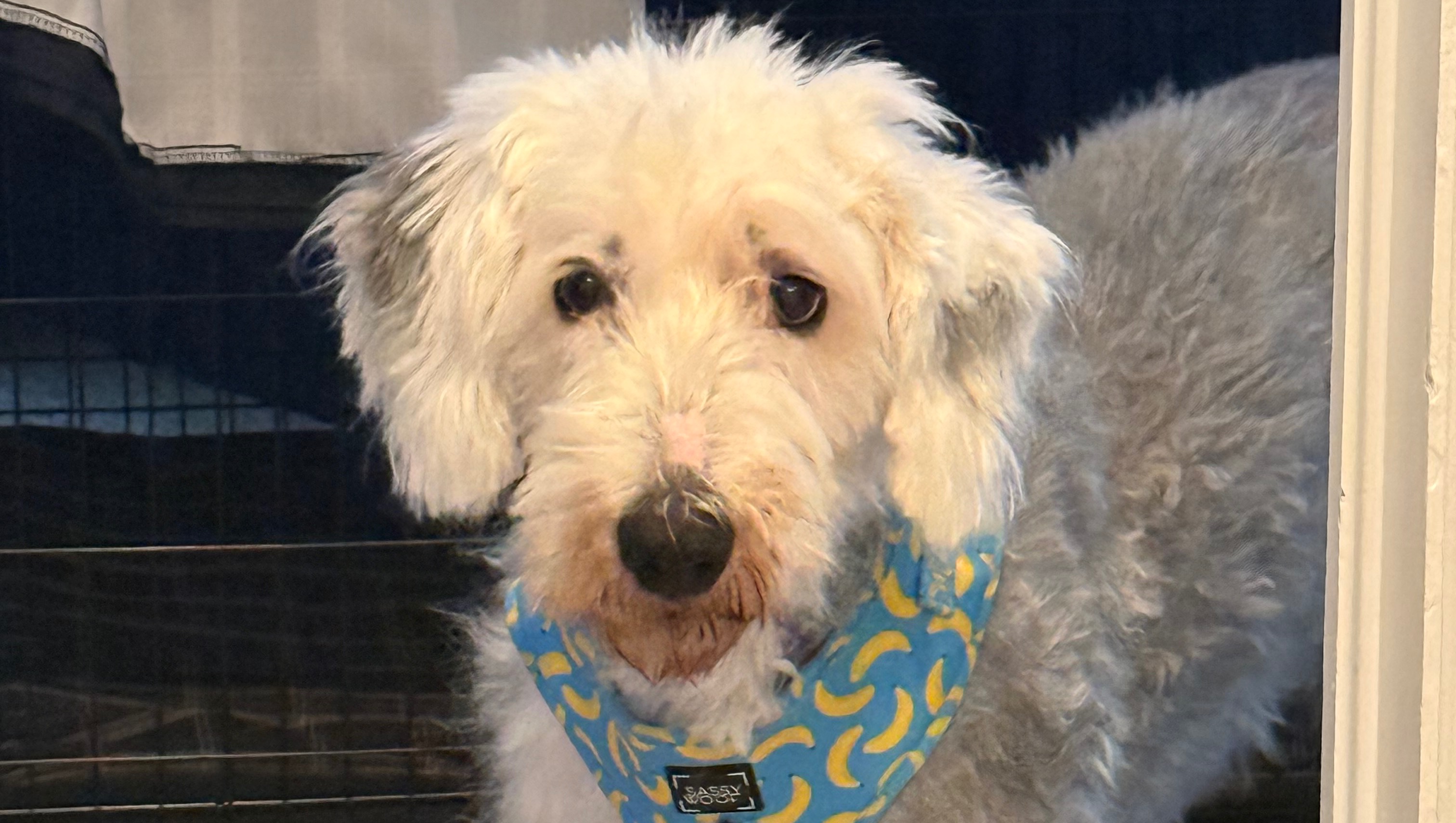 Fundraiser by Anne Quella : Help alleviate the financial strain for ...